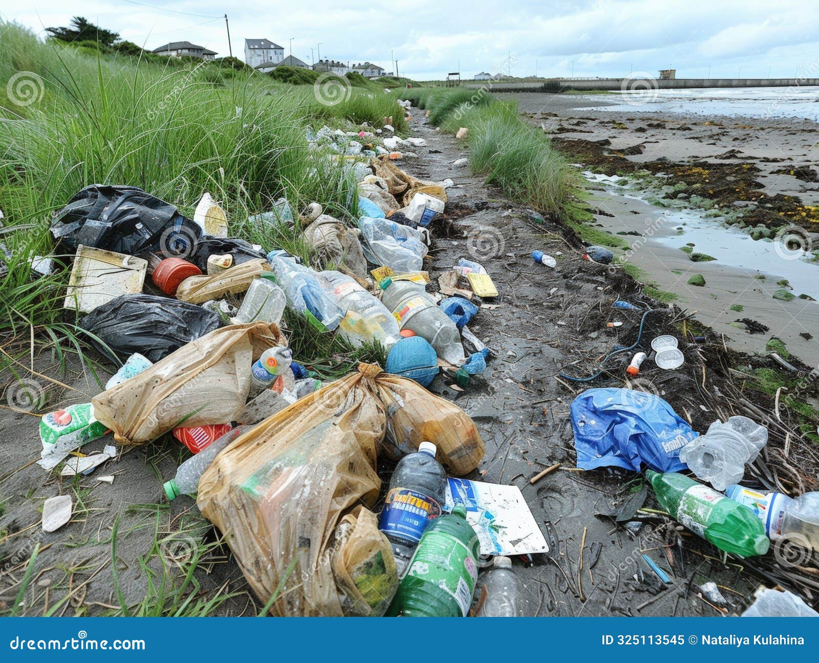 Polluted Beach Path Covered with Scattered Plastic Trash Stock Image ...