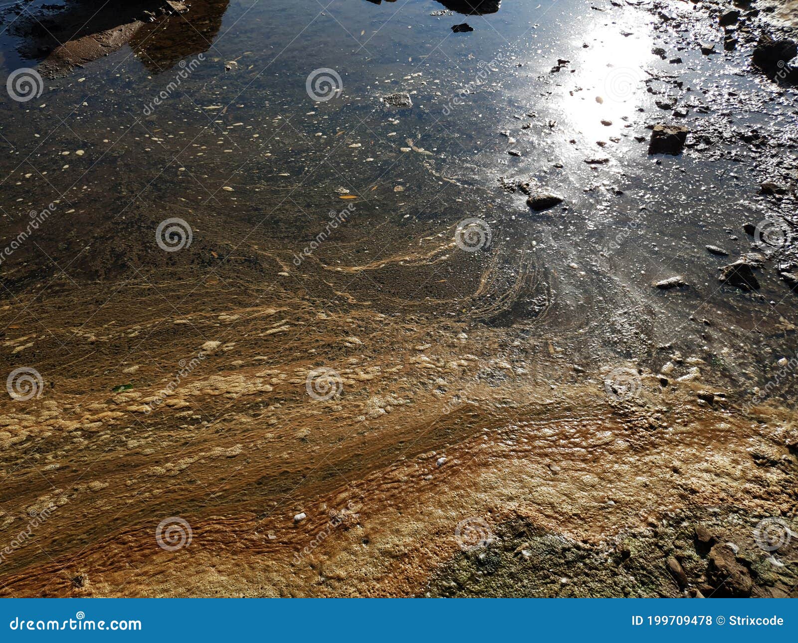 Polluted Body of Water. Water Pollution Concept Image Stock Photo ...