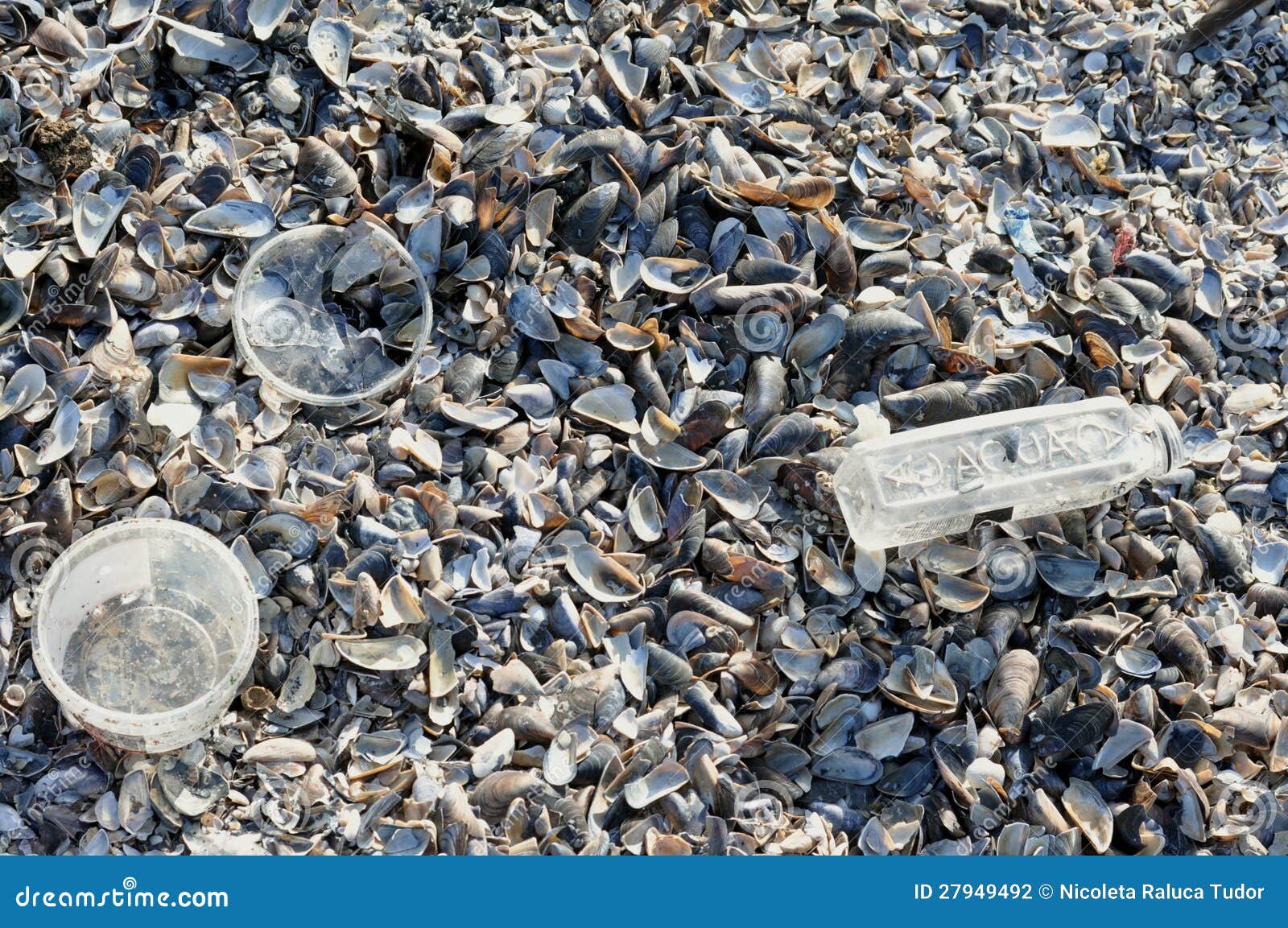 Polluted, Dirty Black Sea Beach in Romania Stock Photo - Image of ...