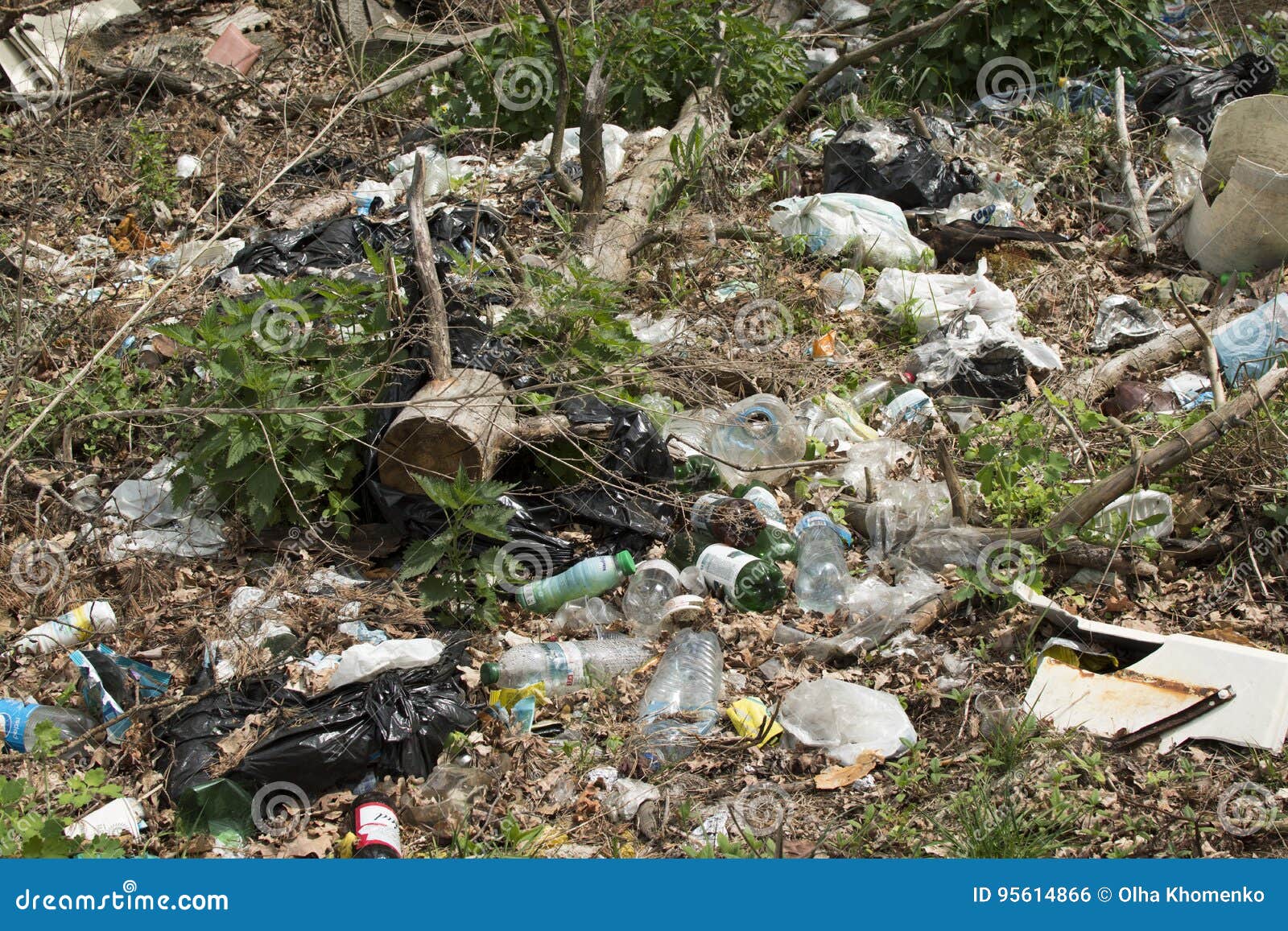 Polluted Nature. Garbage in the Forest Editorial Photo - Image of ...