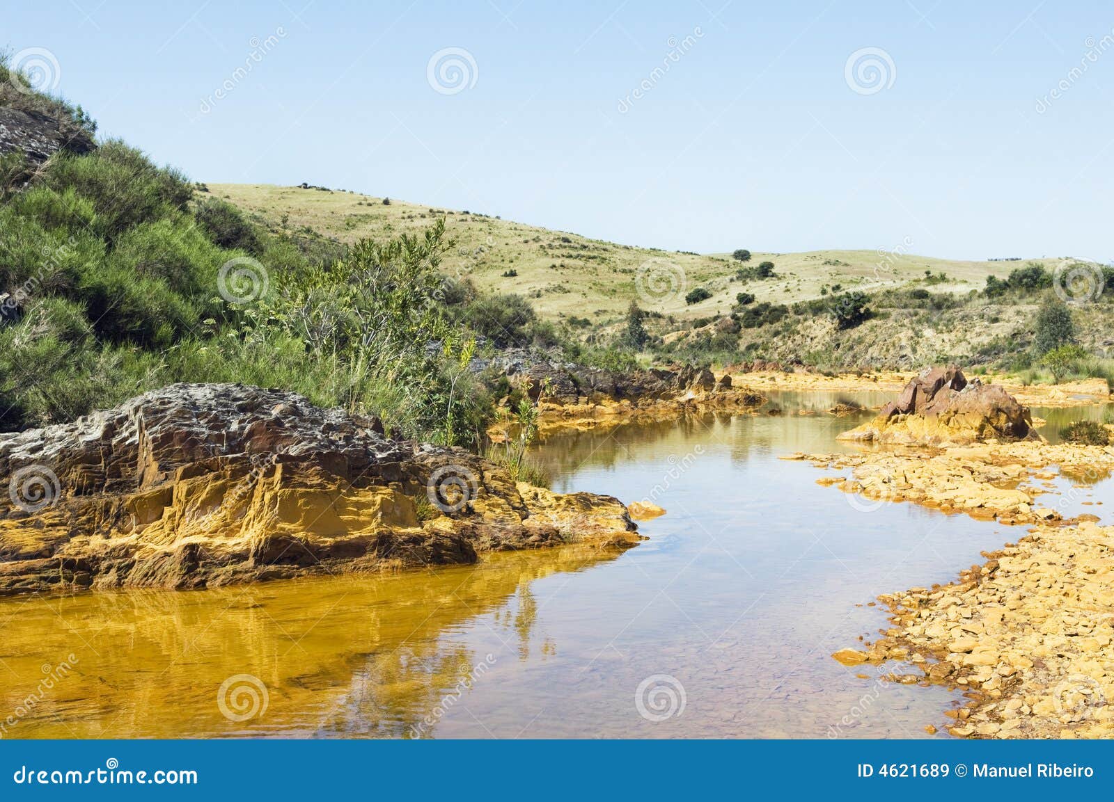 Polluted river stock image. Image of environment, dirt - 4621689