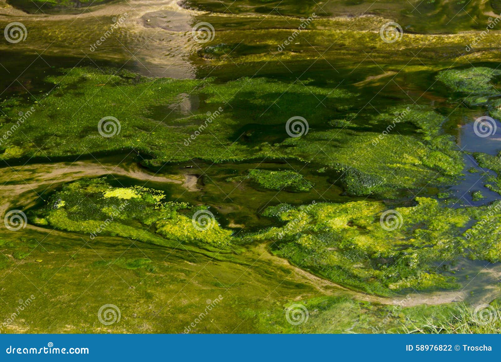 Polluted river stock photo. Image of brown, water, shores - 58976822