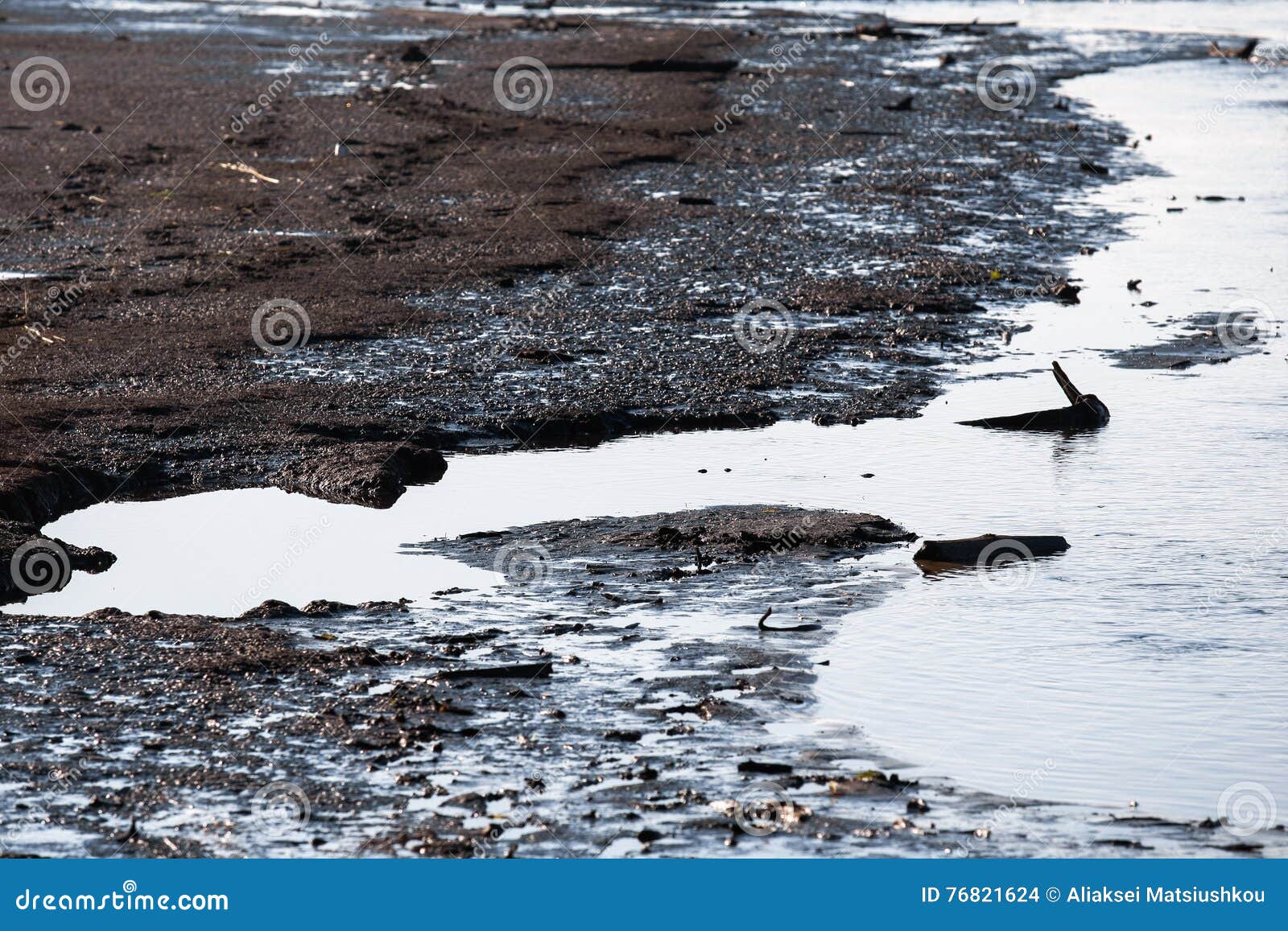 Polluted Shore of the Reservoir Stock Photo - Image of junk, riverbank ...