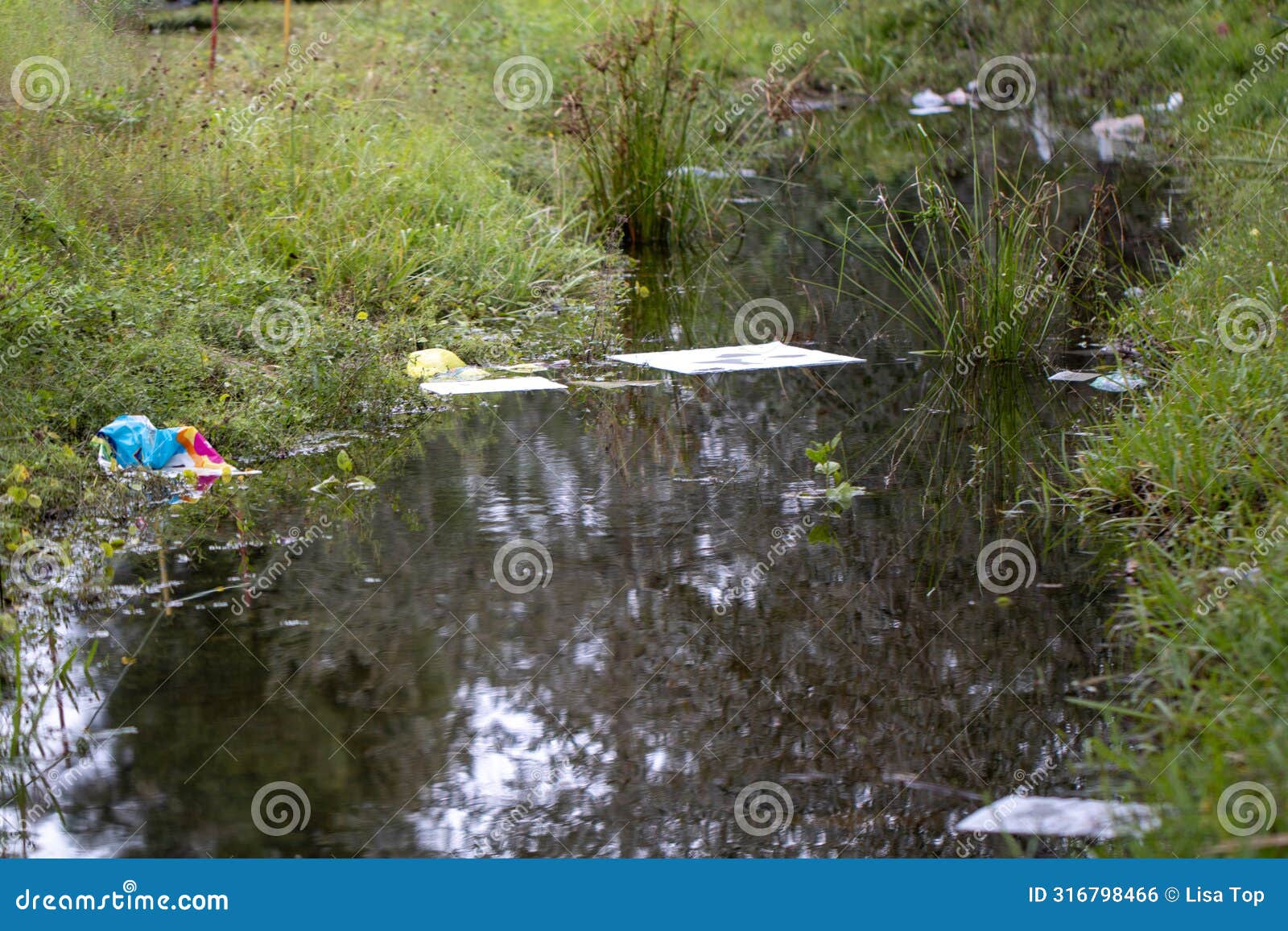 Polluted Stream of Water stock photo. Image of waste - 316798466