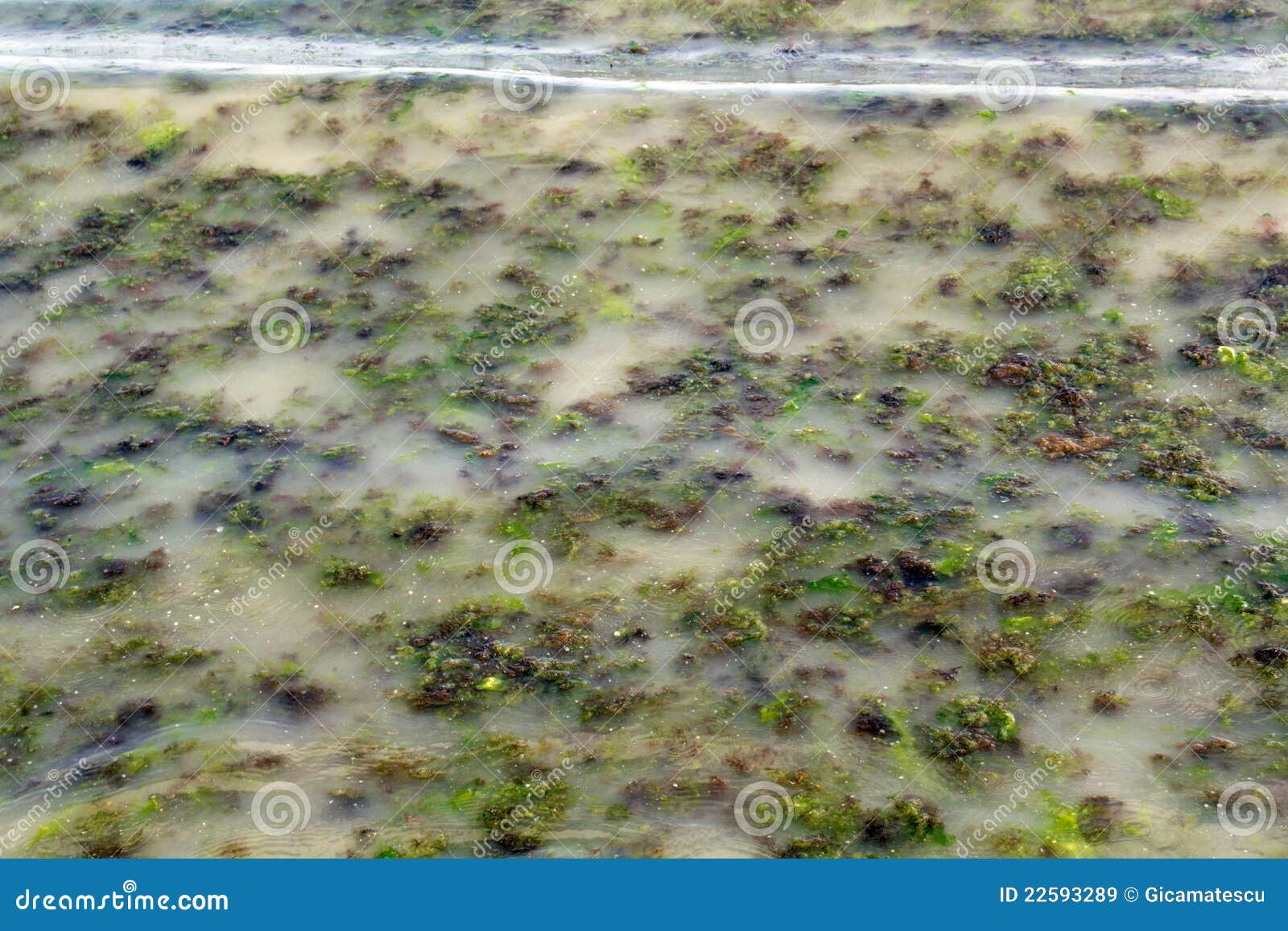 Polluted Water Sample Stock Photo | CartoonDealer.com #3305460
