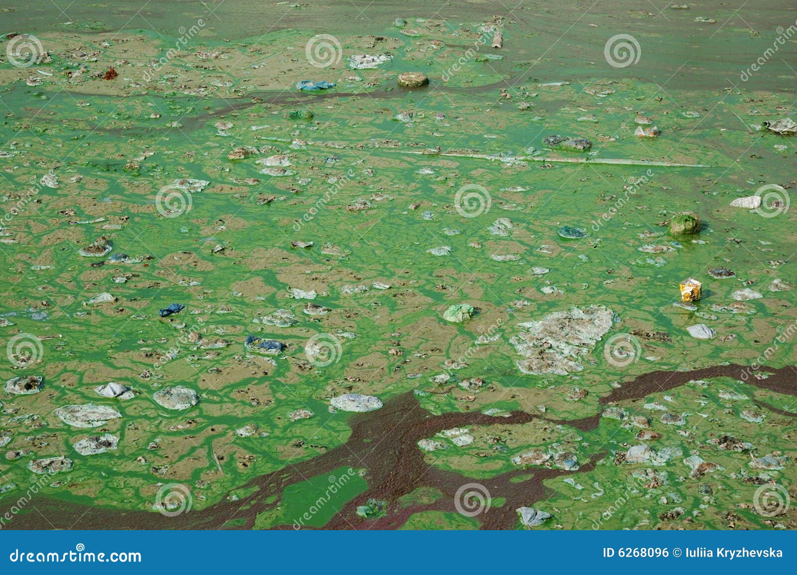 Polluted Water Sample Showing Royalty-Free Stock Photo | CartoonDealer ...