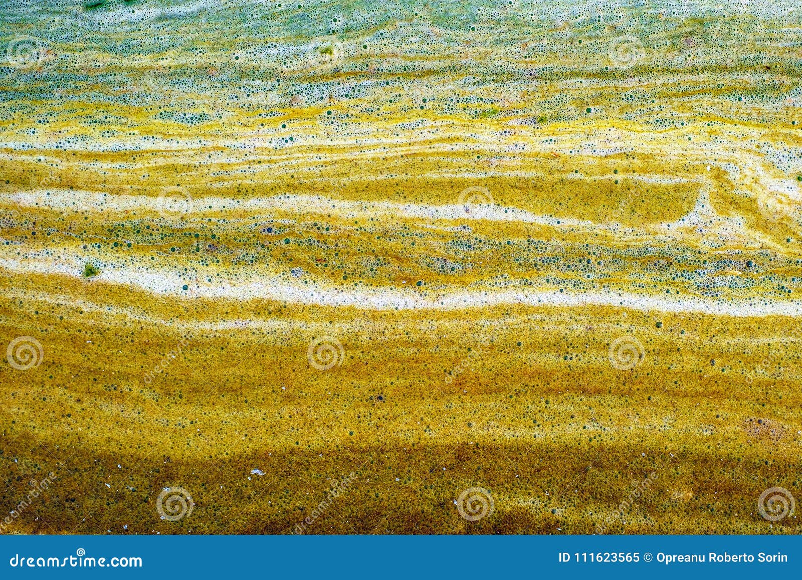 Polluted water with algae stock image. Image of ocean - 111623565