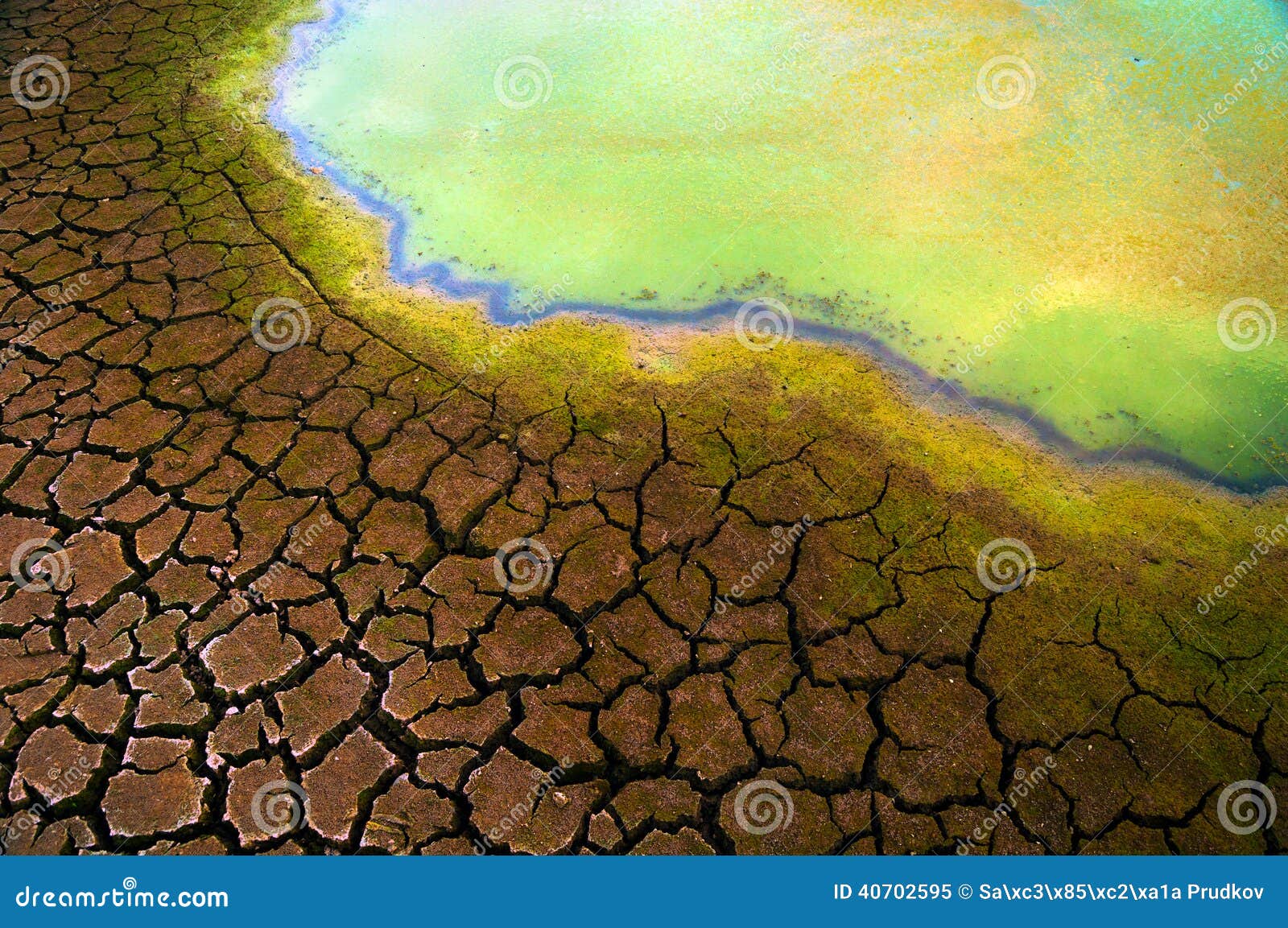 Polluted Water Sample Stock Photo | CartoonDealer.com #3305460