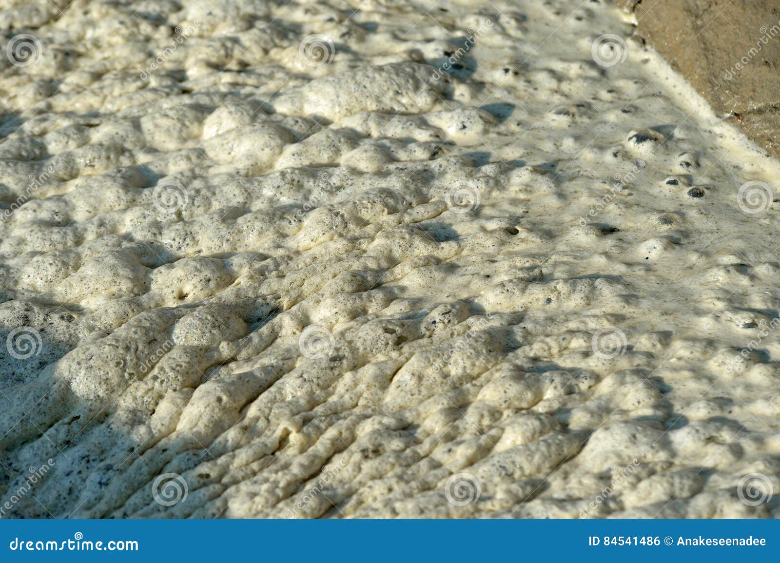 Polluted water scum stock photo. Image of dirt, danger - 84541486