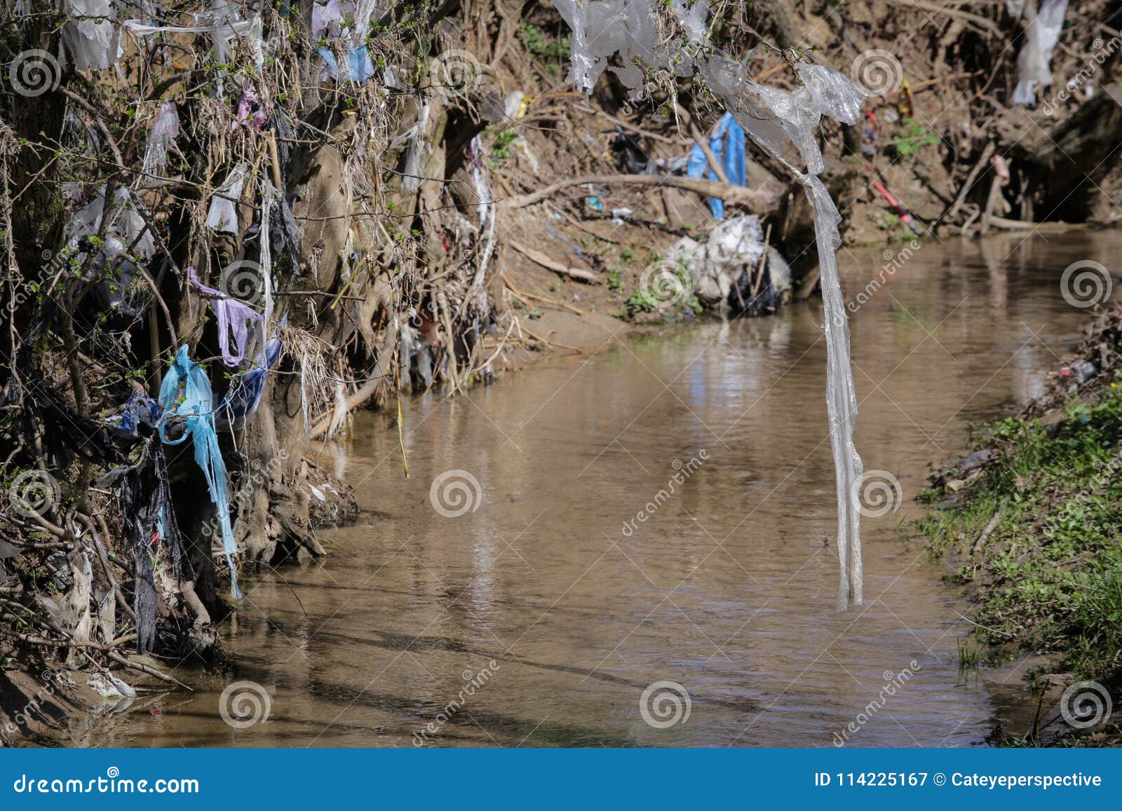 Heavy Polluted Water Stream with Domestic Garbage Stock Image - Image ...