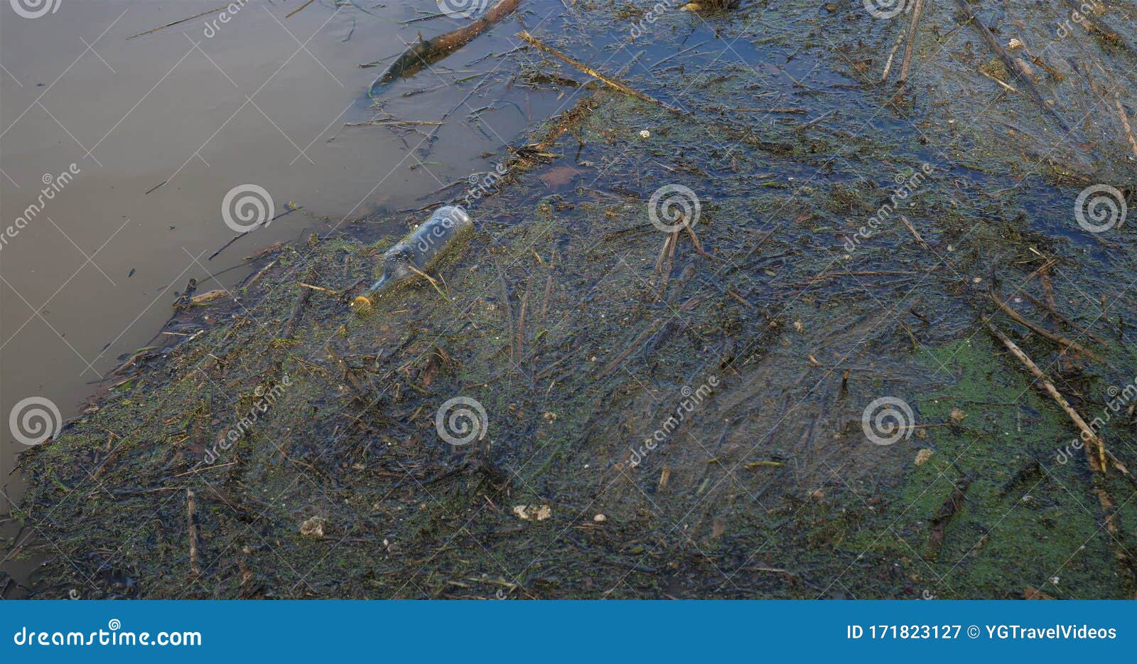Polluted Water Surface on Fresh Water River Stock Video - Video of foam ...