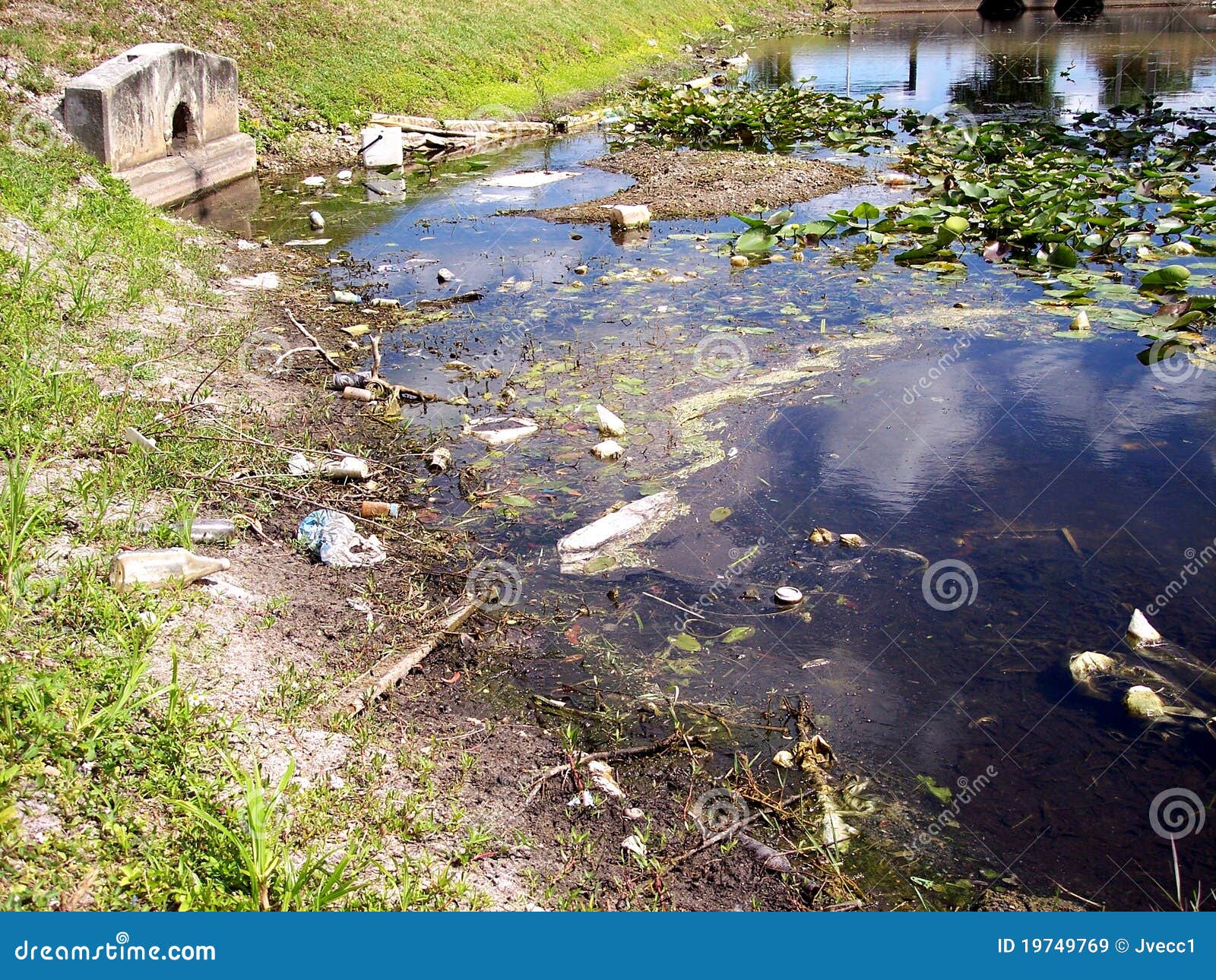 Polluted Water Way stock image. Image of stream, bacteria - 19749769
