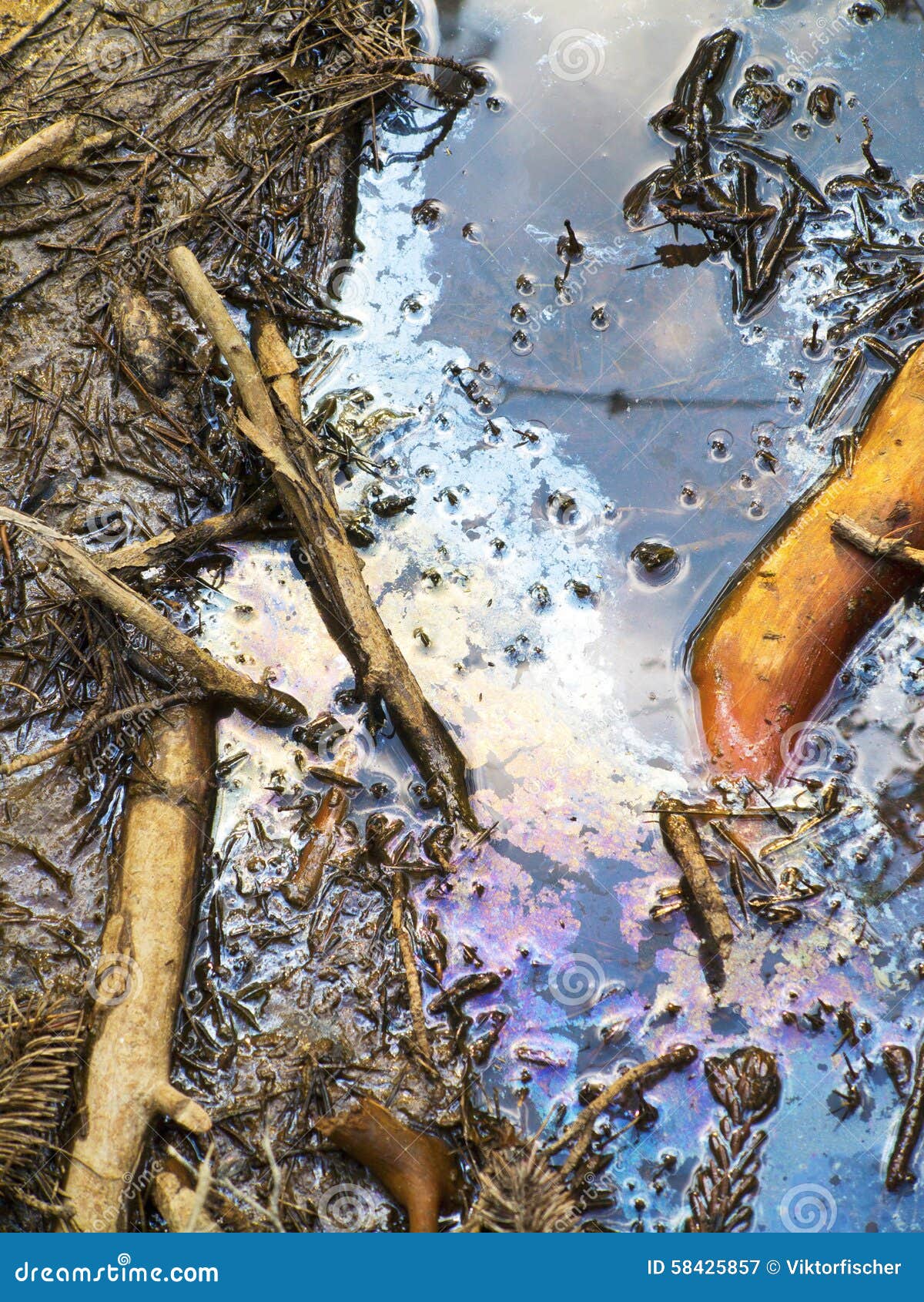 Polluted wetland water stock image. Image of pollution - 58425857