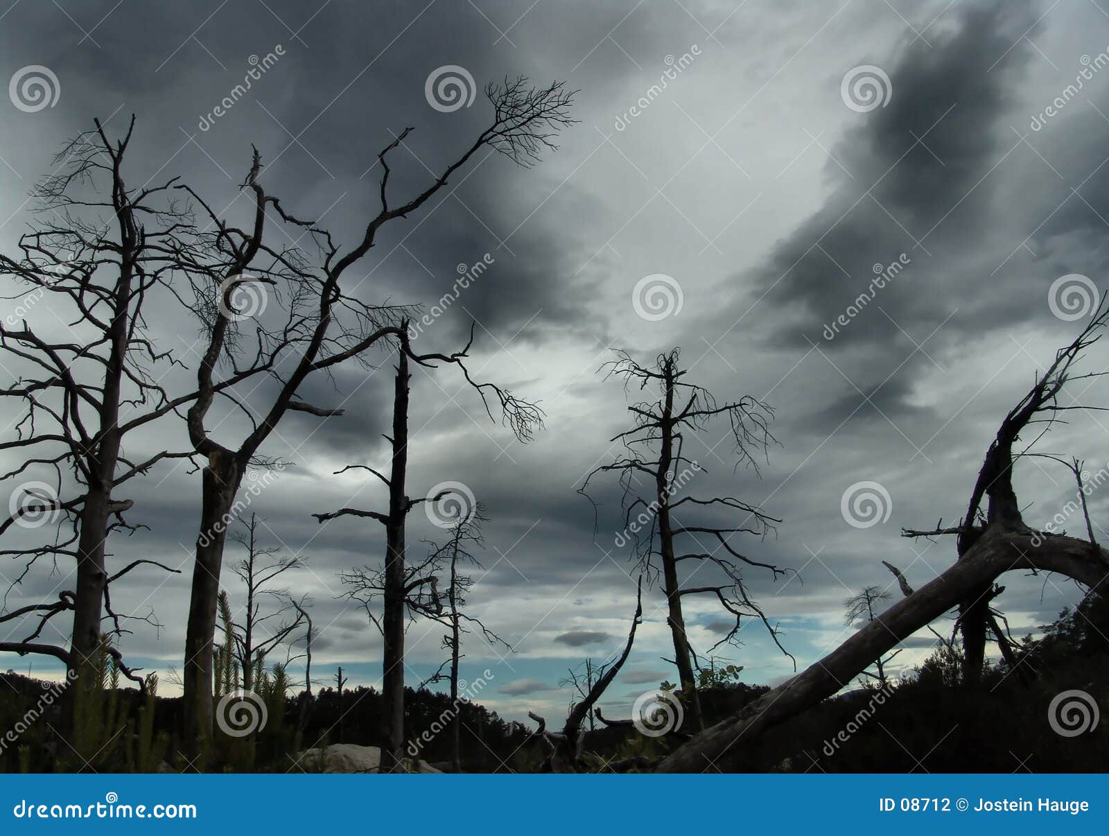 Pollution stock photo. Image of enviromental, dangerous, dead - 8712