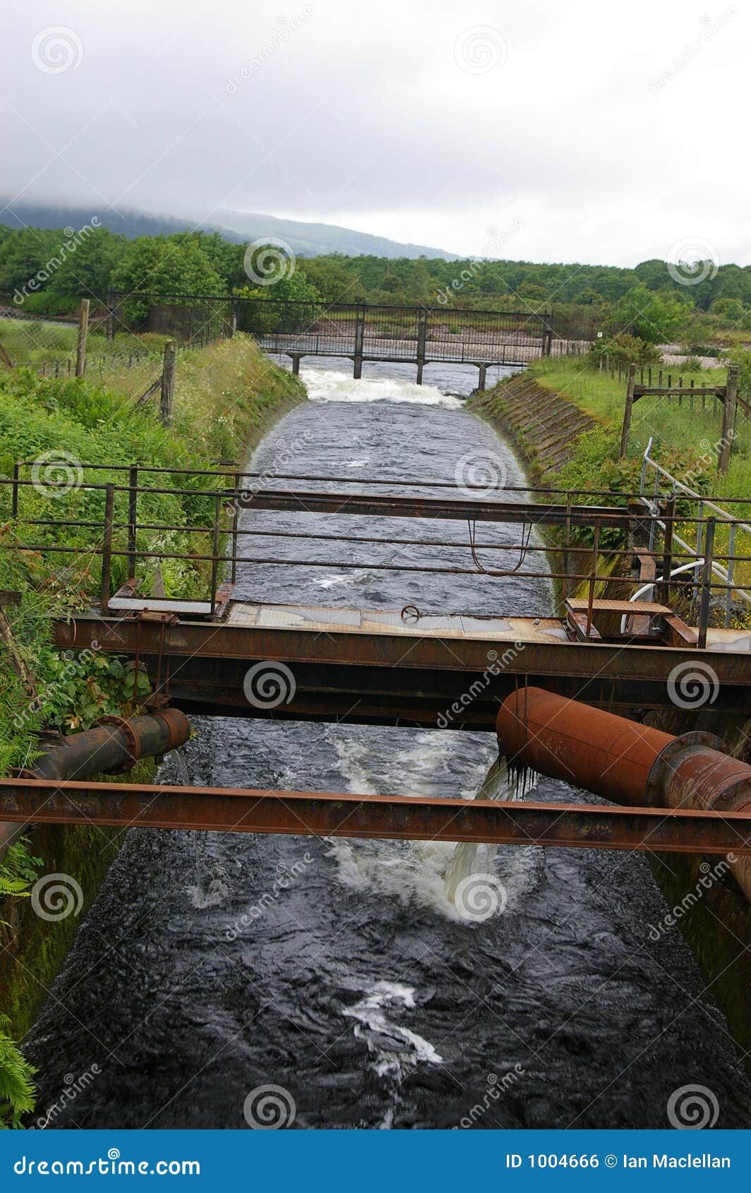 Pollution stock photo. Image of gross, sludge, river, water - 1004666