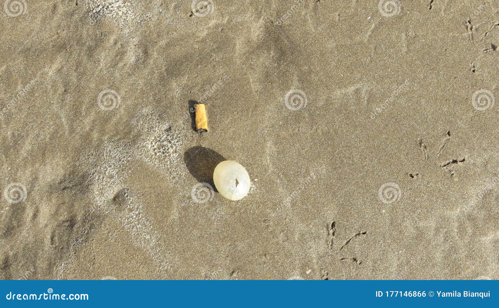Cigarette Snail Photos - Free & Royalty-Free Stock Photos from Dreamstime