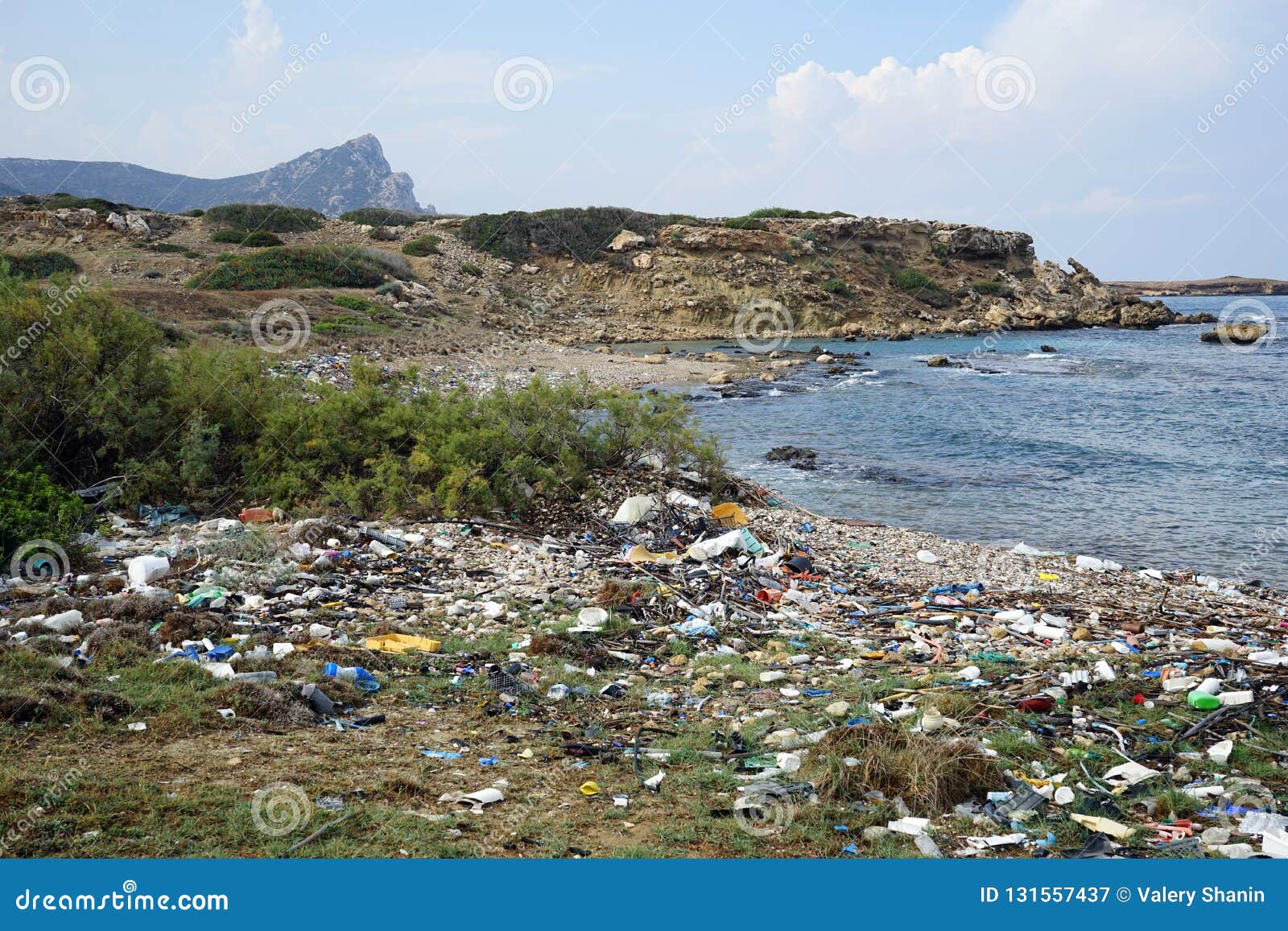 Pollution on the beach stock image. Image of water, pollution - 131557437