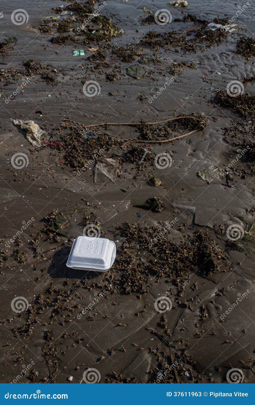 Pollution in Brown Sand on the Beach Texture. Stock Image - Image of ...