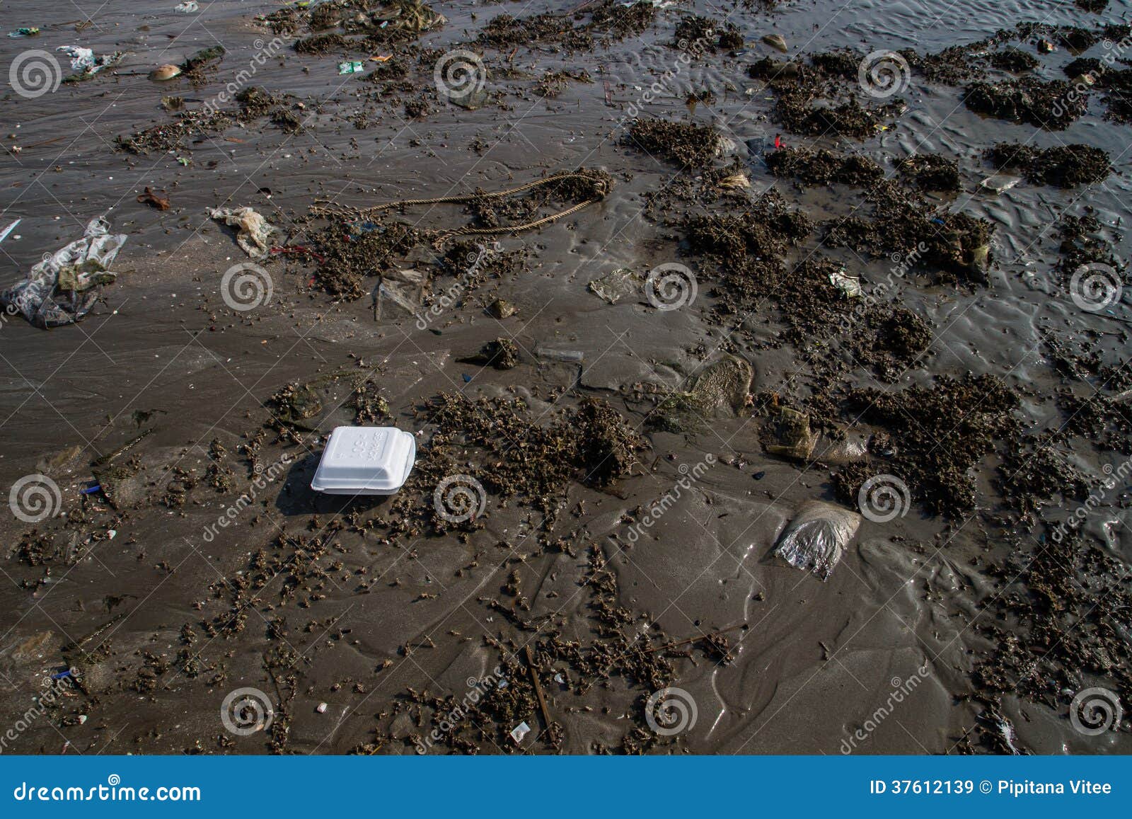 Pollution in Brown Sand on the Beach Texture. Stock Image - Image of ...