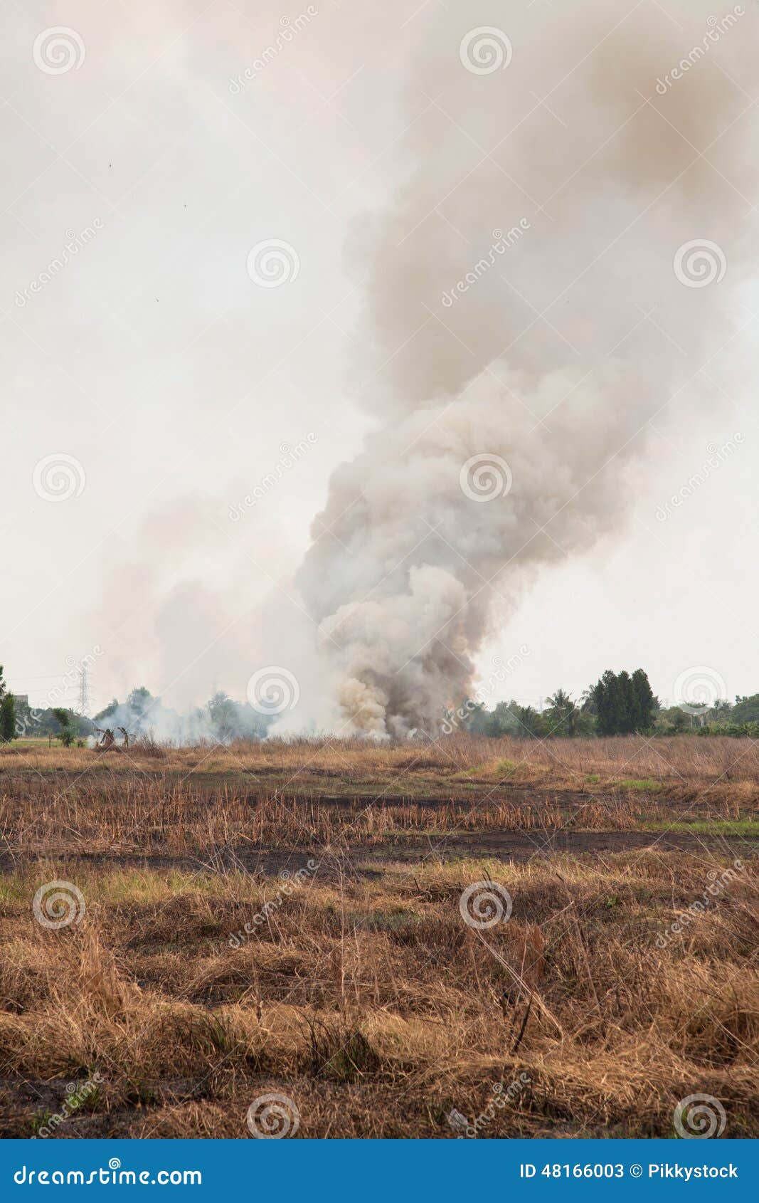 Pollution from the Burning of Rice Fields after Stock Image - Image of ...