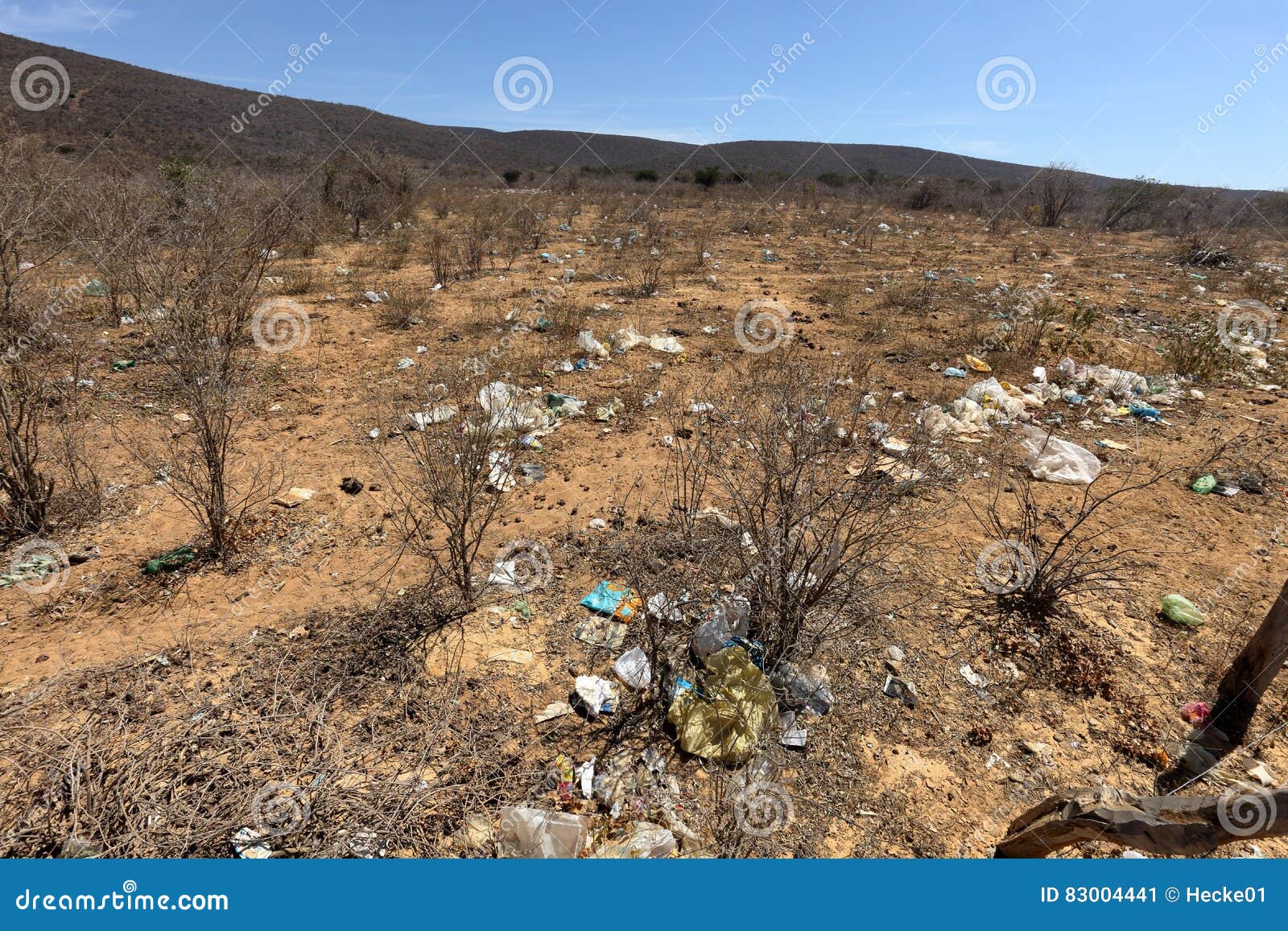 Pollution in the Caatinga of Brazil Editorial Photo - Image of ...