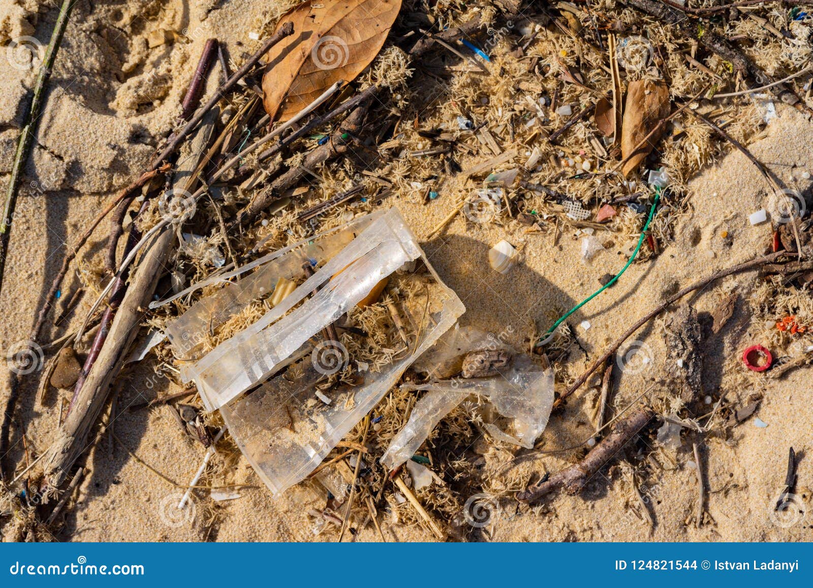 Pollution on the coast stock photo. Image of rubbish - 124821544