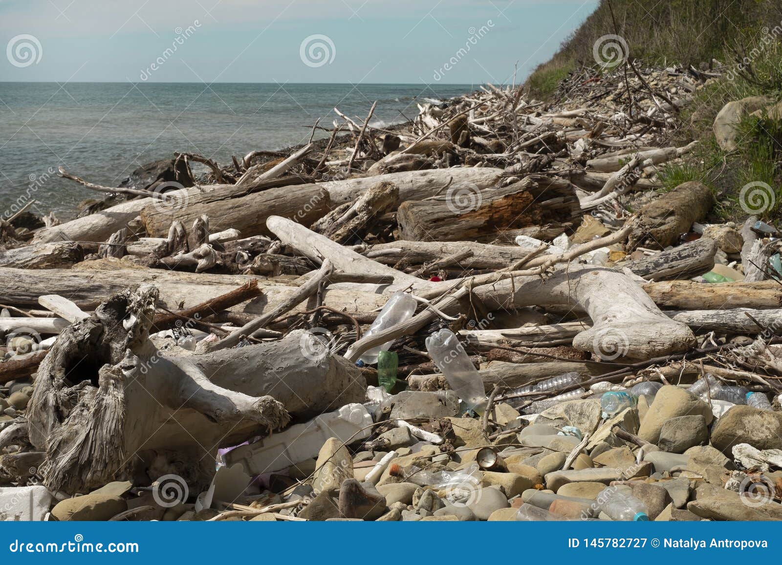 Pollution of the Coastline, Plastic, Plastic Bags, Garbage - an ...