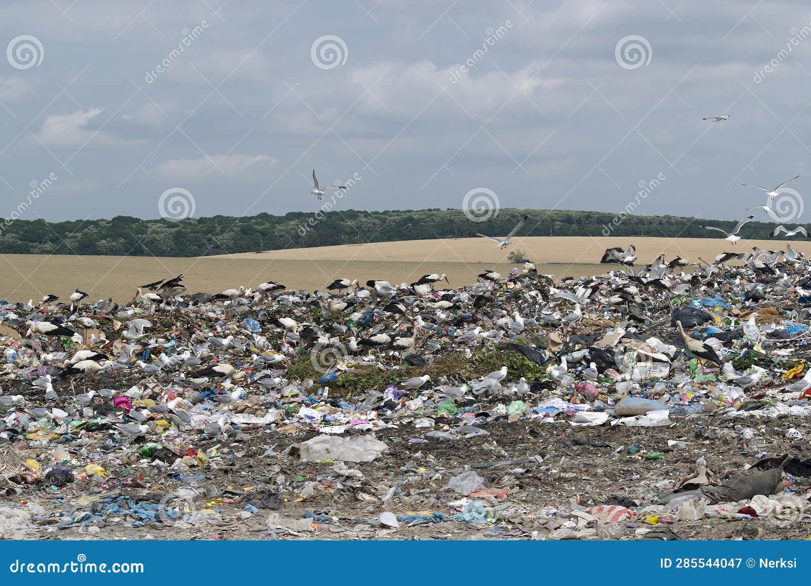 Pollution Concept. Garbage Pile in Trash Dump Stock Image - Image of ...