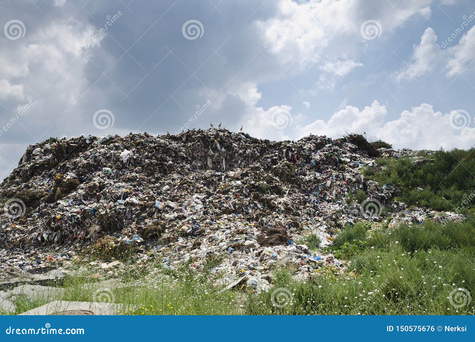 Pollution Concept. Garbage Pile in Trash Dump Stock Photo - Image of ...