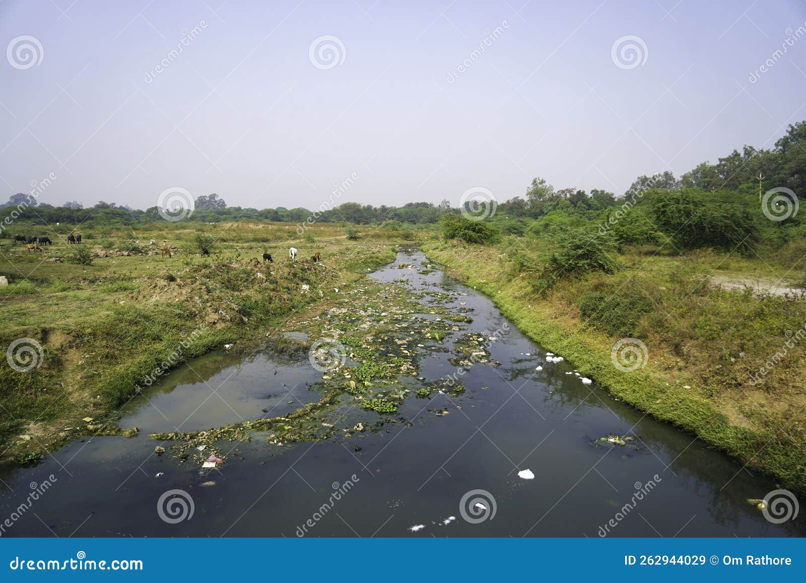 Pollution Control Day, Plastic and Garbage Polluted River, Waste ...