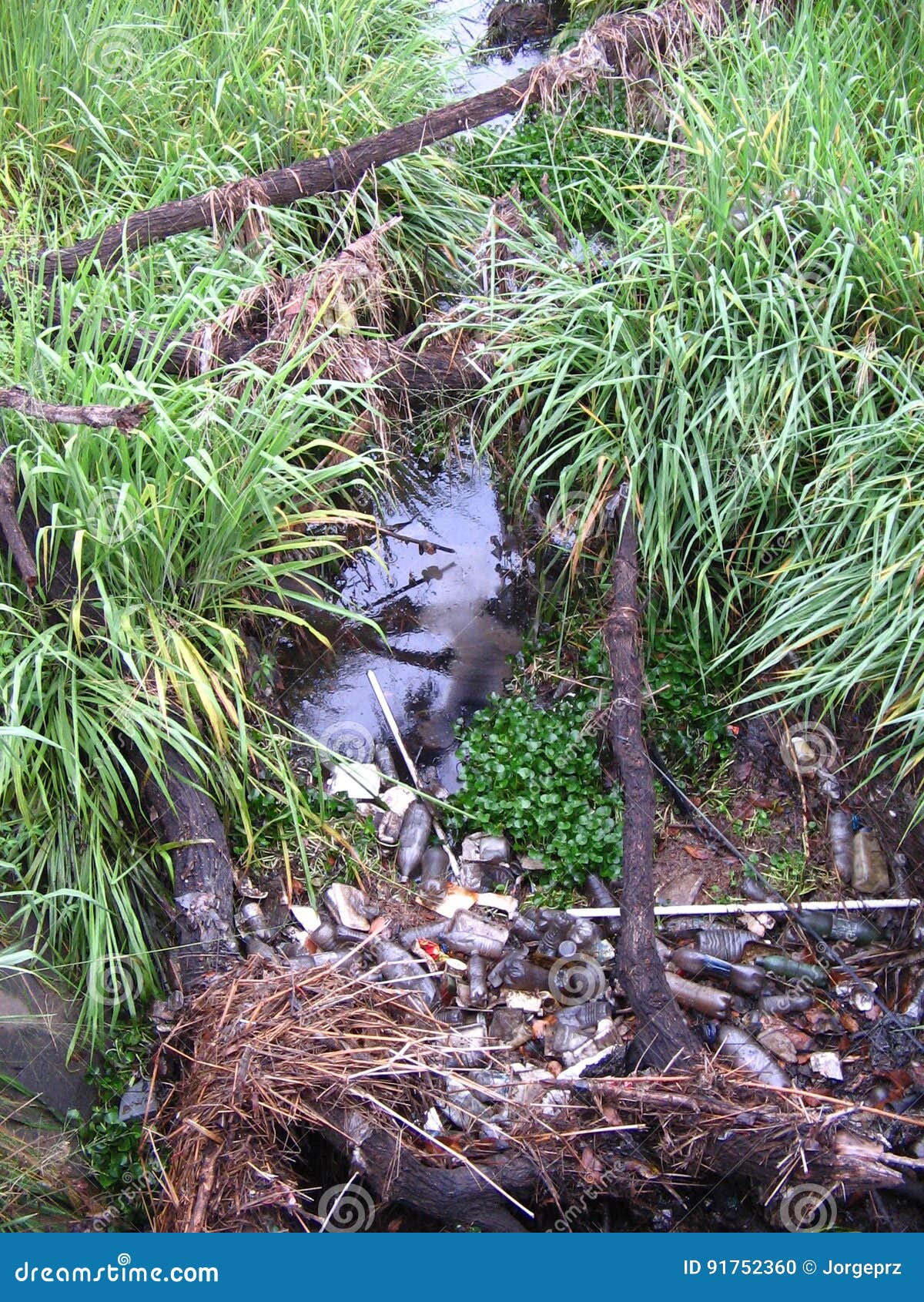 Pollution in a Creek with Trash and Plastic Bottles. Stock Photo ...