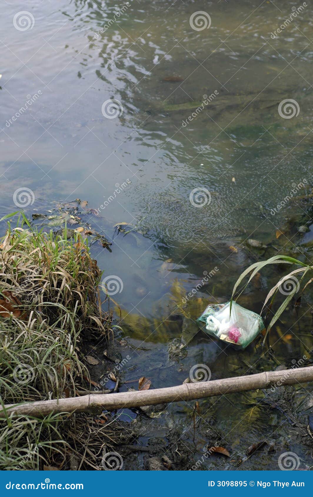 Pollution de fleuve image stock. Image du toxique, ordures - 3098895