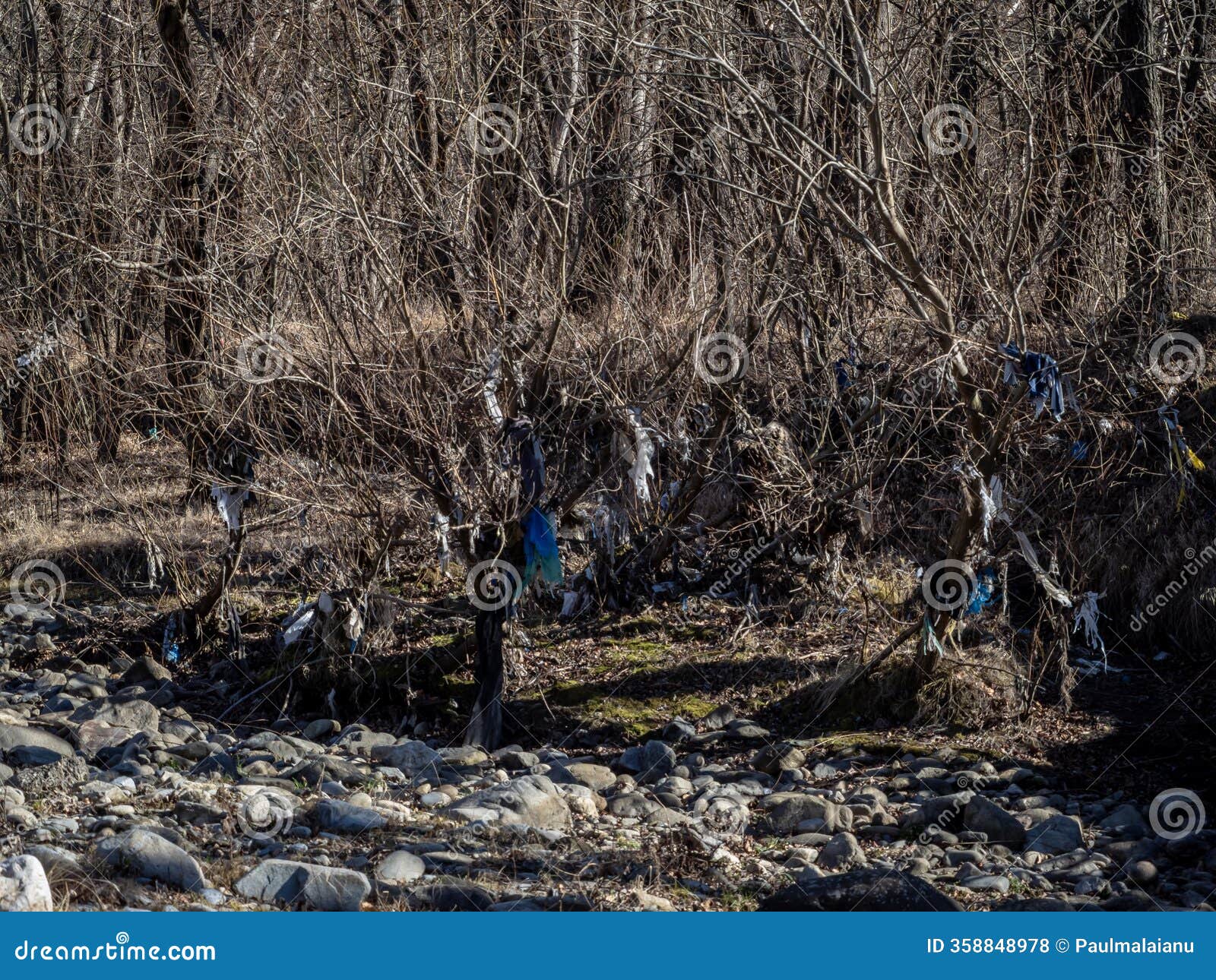 Pollution on the Edge of a River. Stock Photo - Image of pollution ...