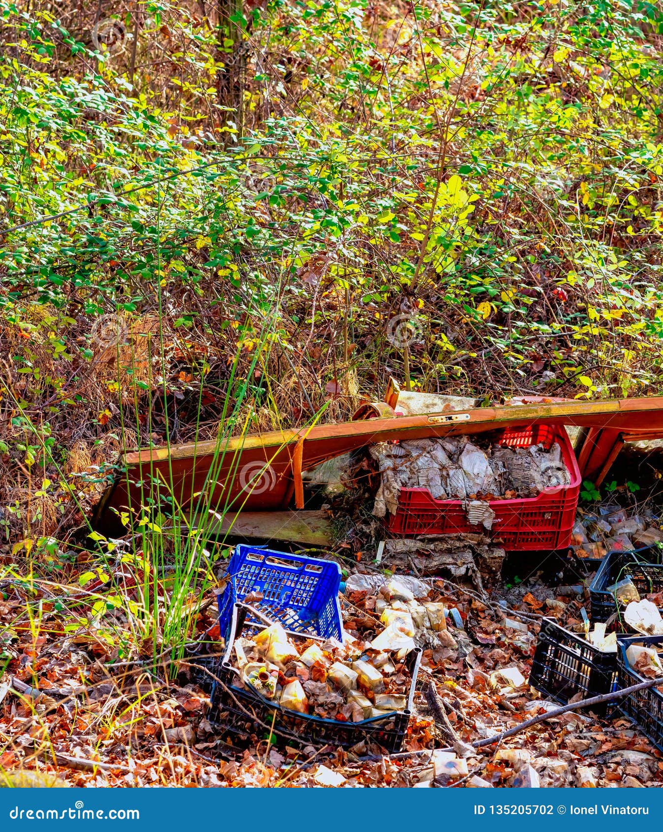 Pollution of the Environment in the Forest Stock Photo - Image of ...