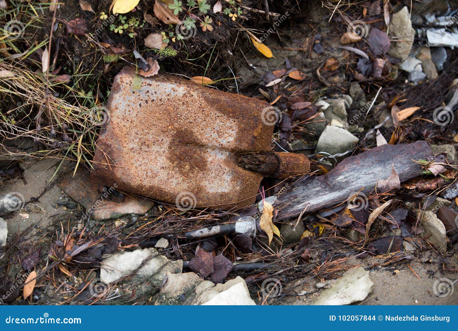 Pollution of the Environment. Rusty Shovels, Buckets, Garbage in Stock ...