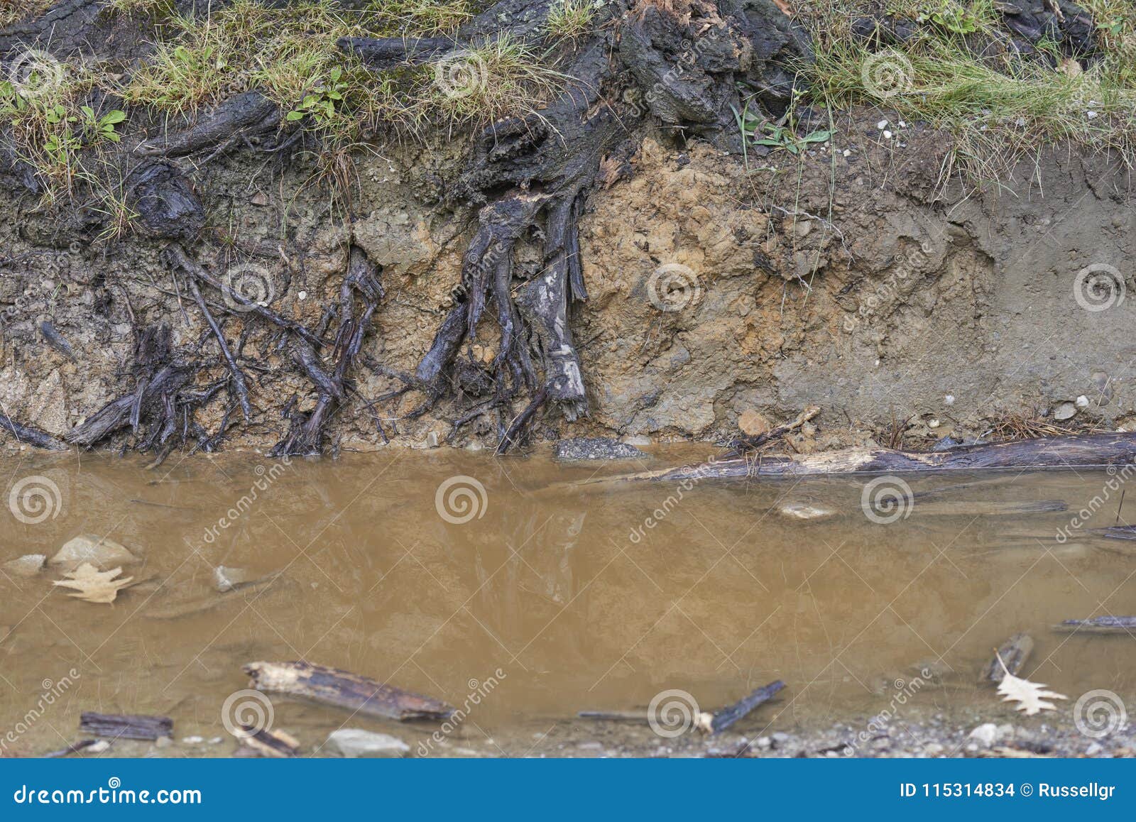 Rain run-off erosion stock photo. Image of contamination - 115314834