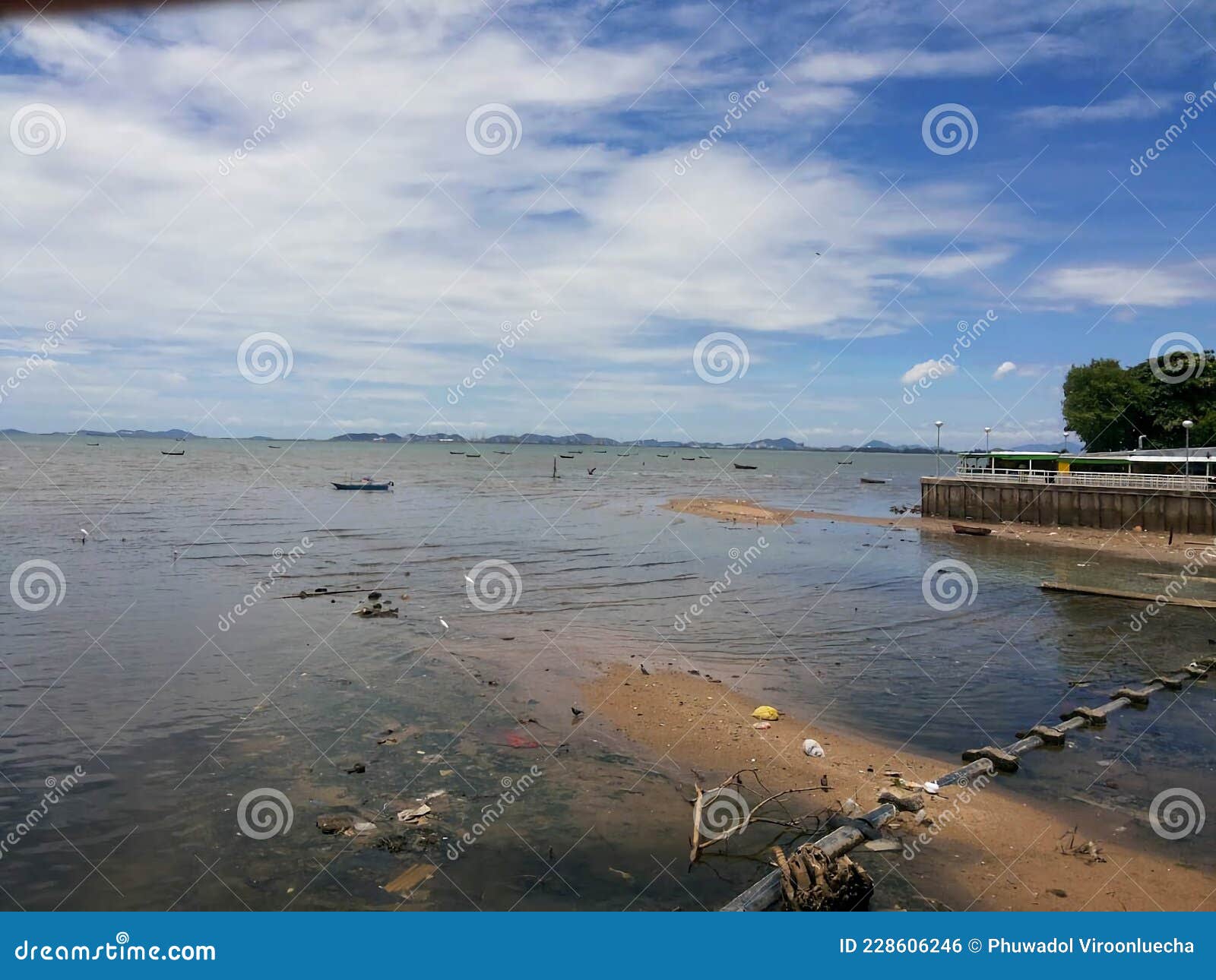 Pollution of Estuary that Flow into the Sea Stock Photo - Image of lake ...