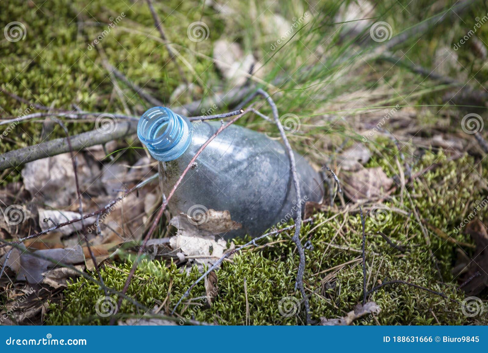 Pollution in Forest. Litter in the Enviroment. Ecological Contamination ...