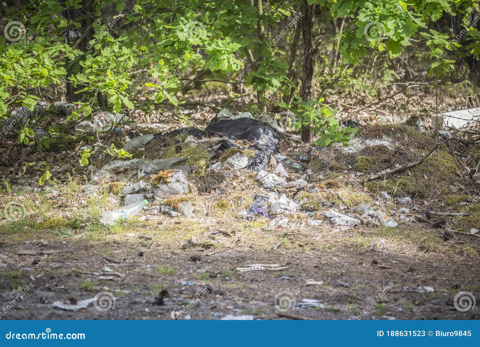 Pollution in Forest. Litter in the Enviroment. Ecological Contamination ...