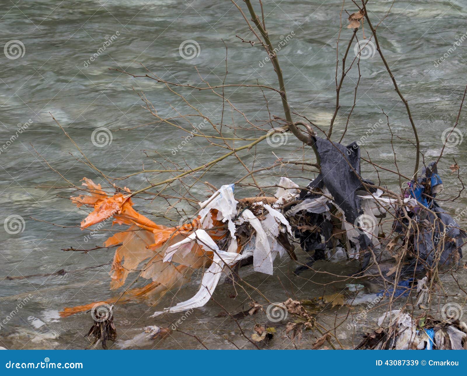 Pollution on a Forest Stream Stock Image - Image of dangerous, problem ...