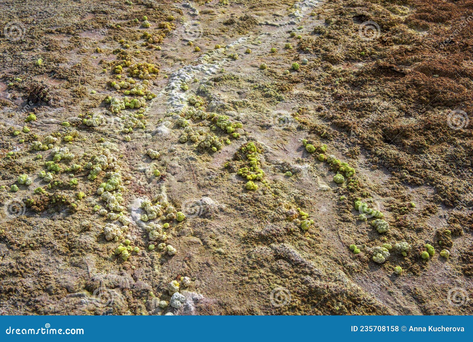 Pollution of the Grounds with Toxic Waste from Mining Copper Stock ...