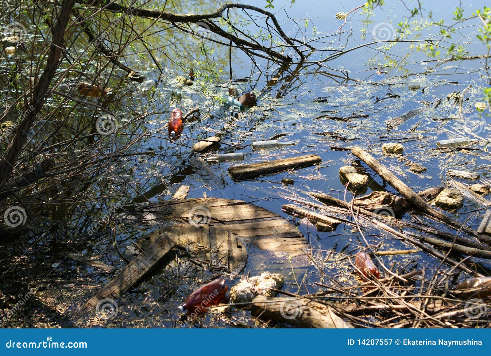 Pollution of a lake stock image. Image of paper, lake - 14207557