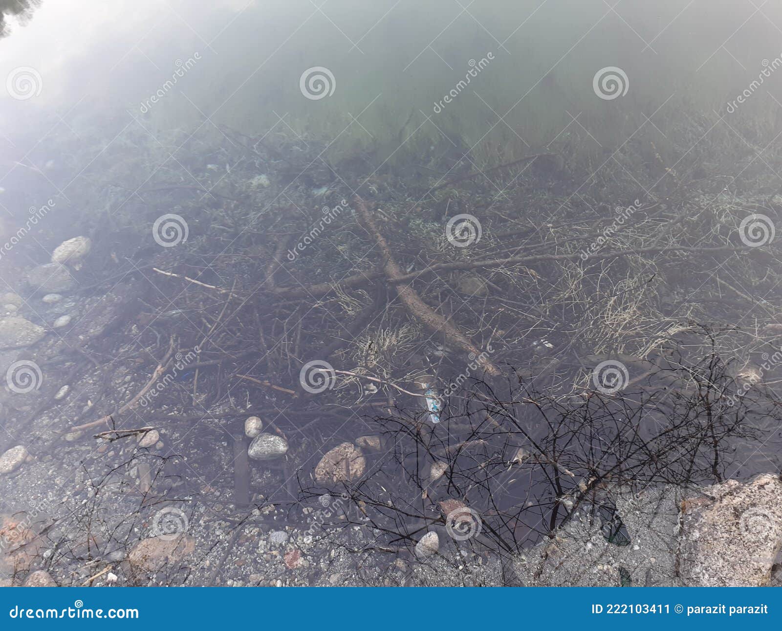 Pollution. lake pollution stock image. Image of terrain - 222103411