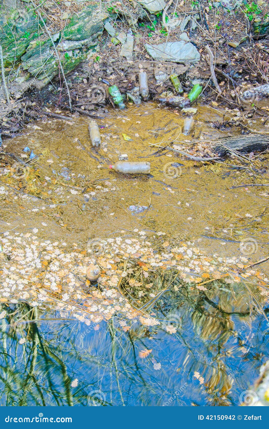 Pollution on a lake stock photo. Image of lake, ecology - 42150942