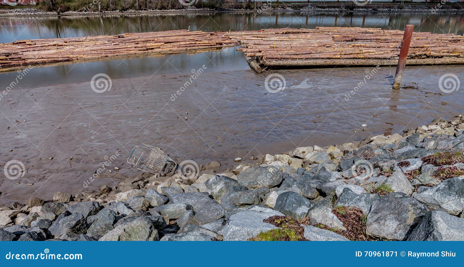 Pollution stock image. Image of stone, timber, trees - 70961871