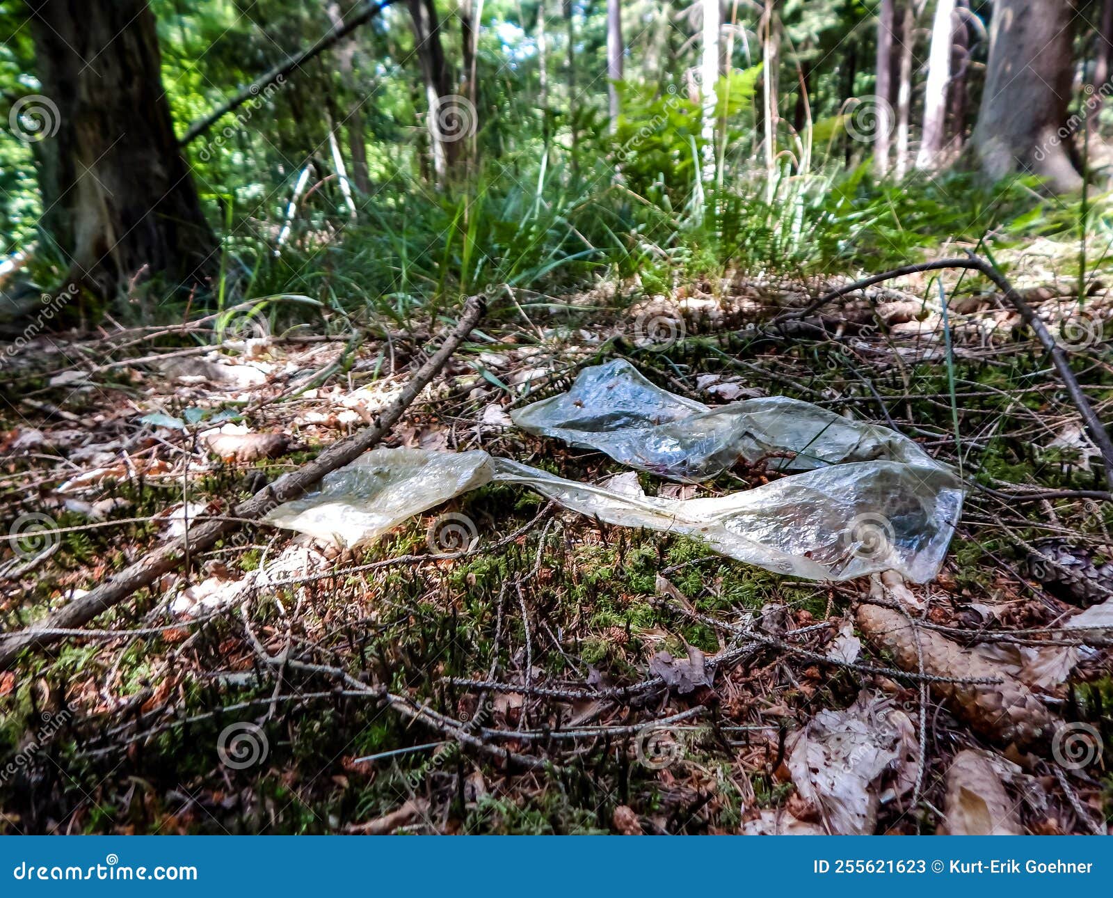 Pollution in nature stock image. Image of water, river - 255621623