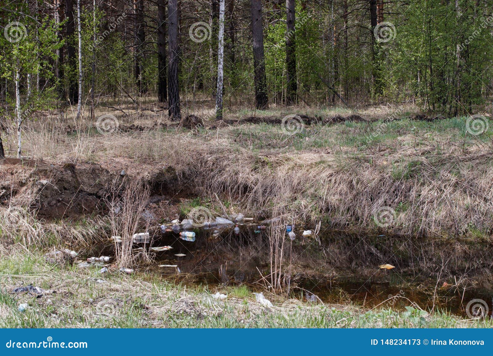 Pollution of Nature. Garbage and Plastic Bottles Float on the Water of ...