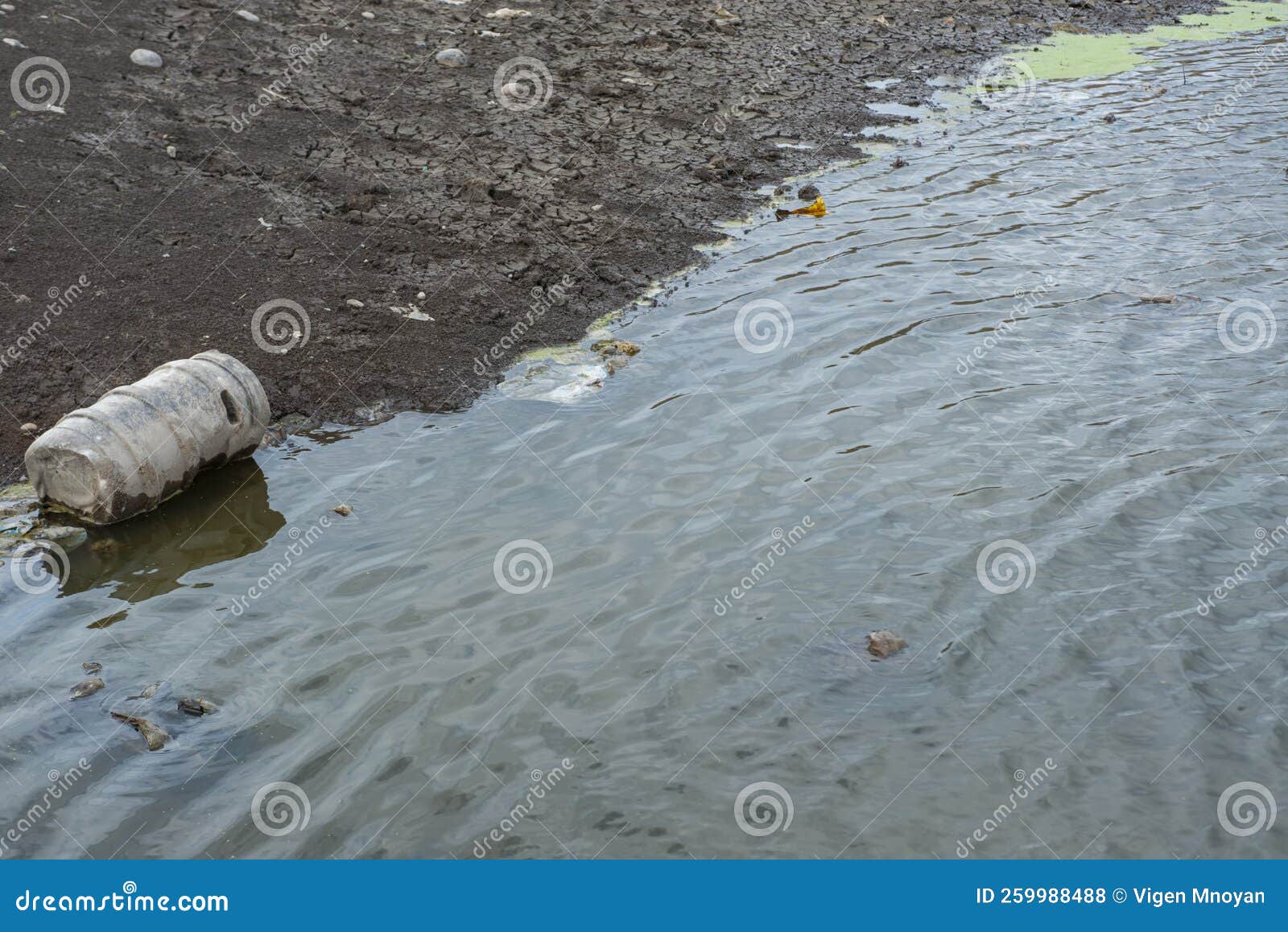 Pollution of Nature, Plastic and Rubber in Water. Environmental ...