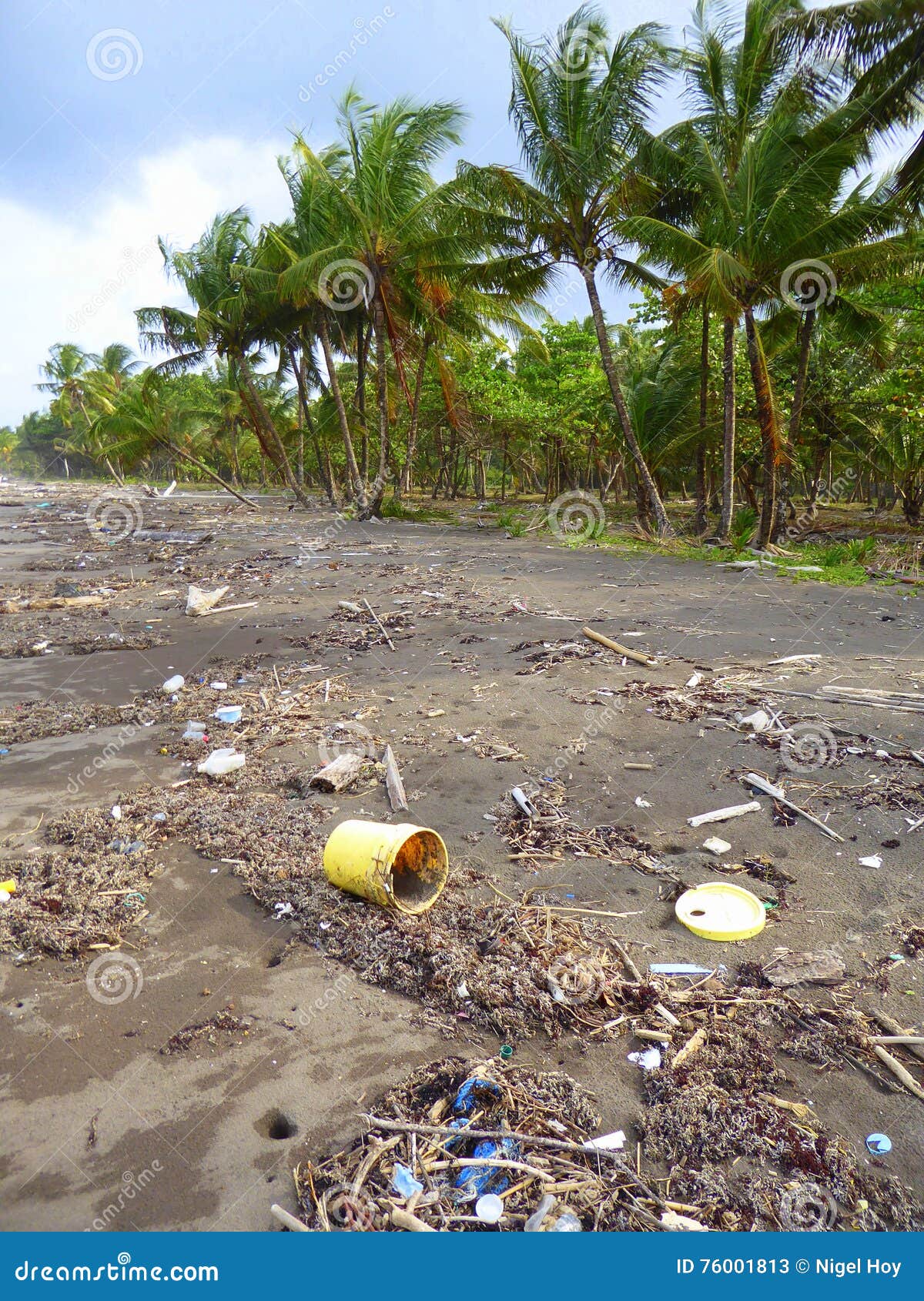 Litter on tropical beach stock image. Image of plastics - 76001813