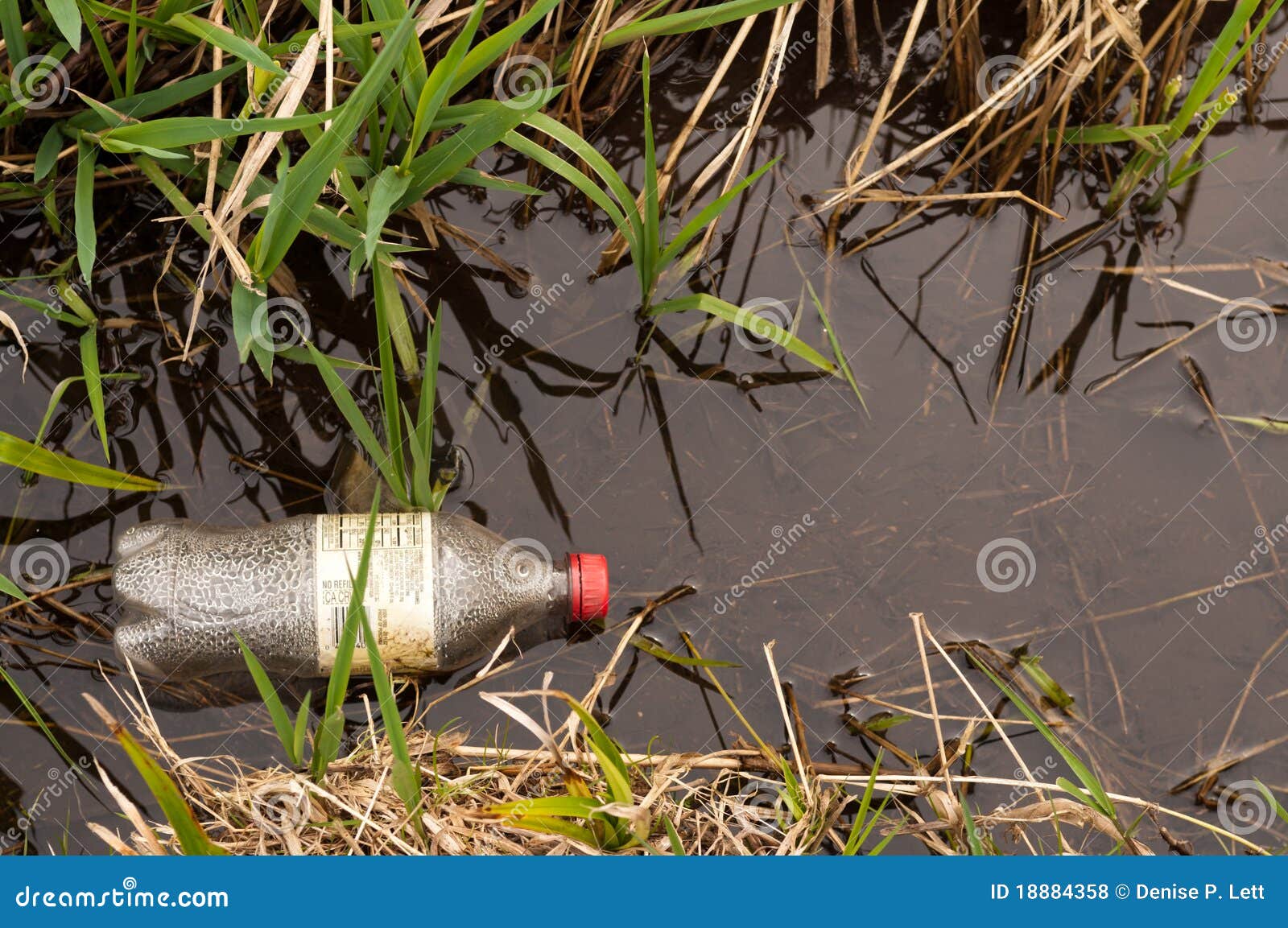 Pollution: Plastic Bottle Littering Water Stock Photo - Image of copy ...
